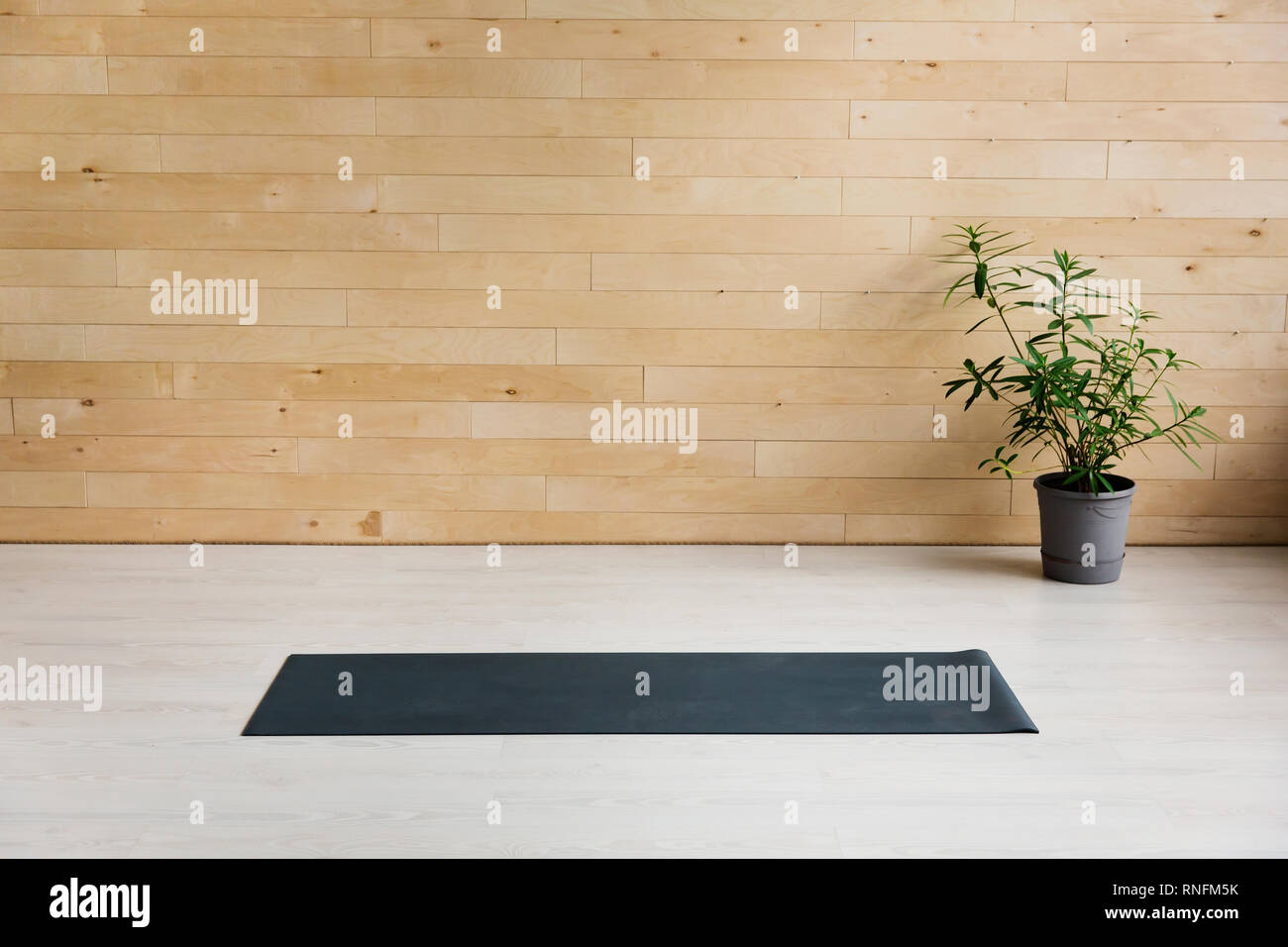 Empty yoga mat on the floor. Equipment for yoga. Concept healthy ...