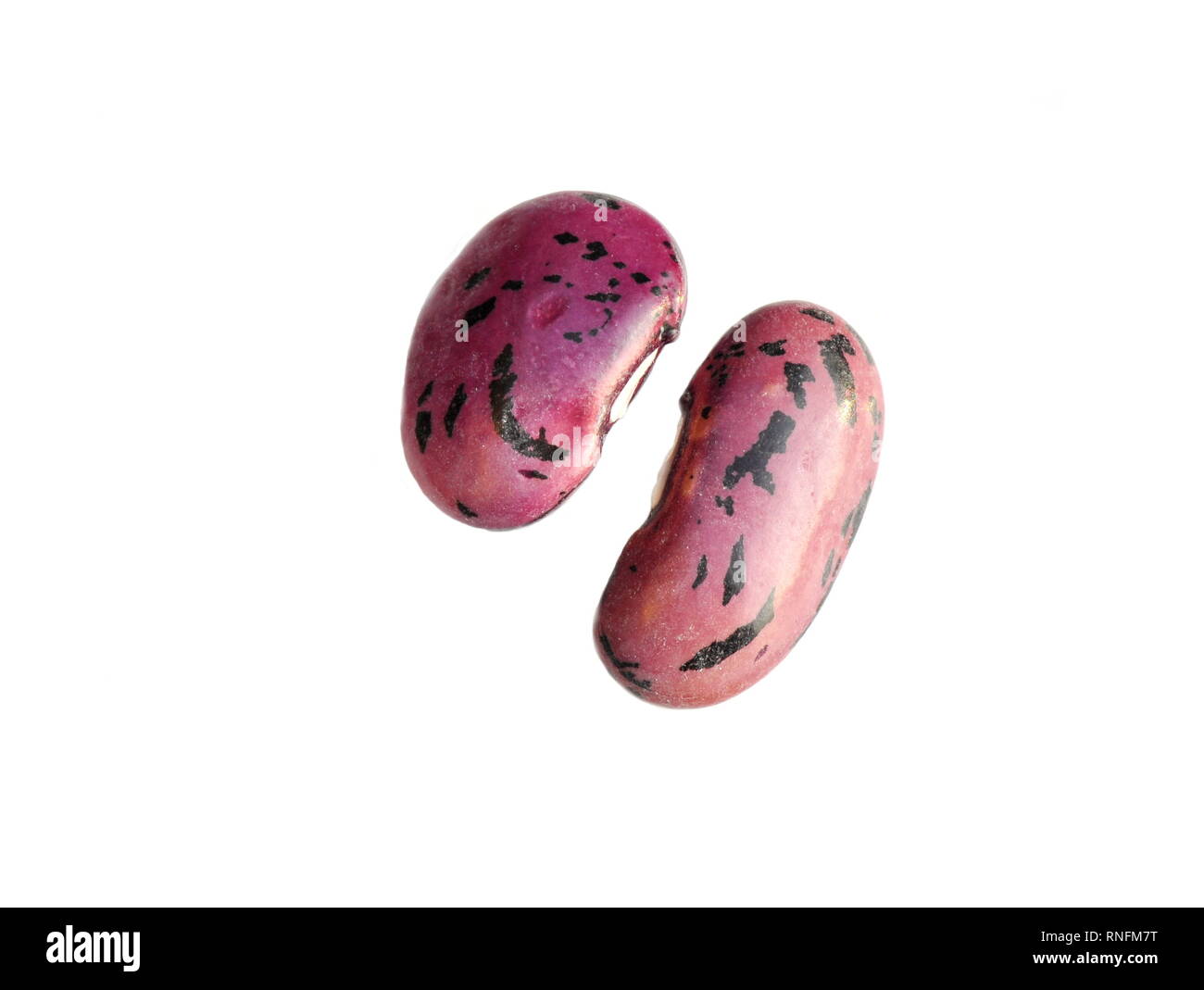 Scarlet runner beans on white background Stock Photo - Alamy