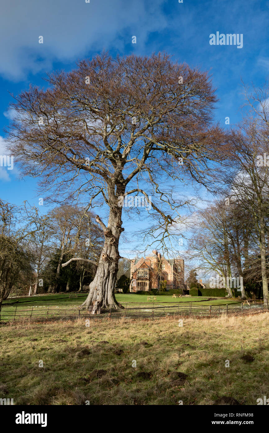 Scorton hi-res stock photography and images - Alamy