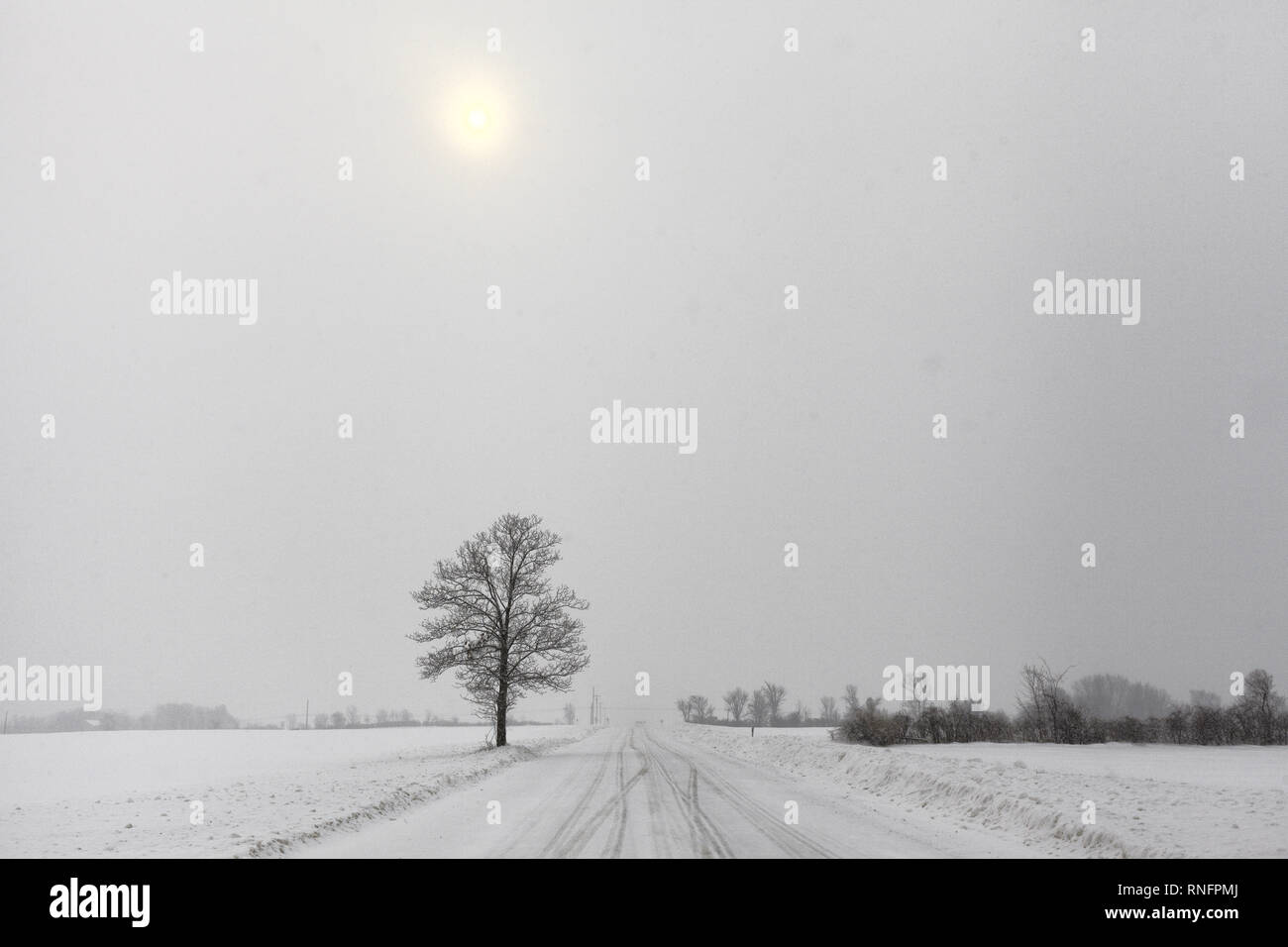 Snowing, country road in Mohawk Valley, New York State, USA Stock Photo ...