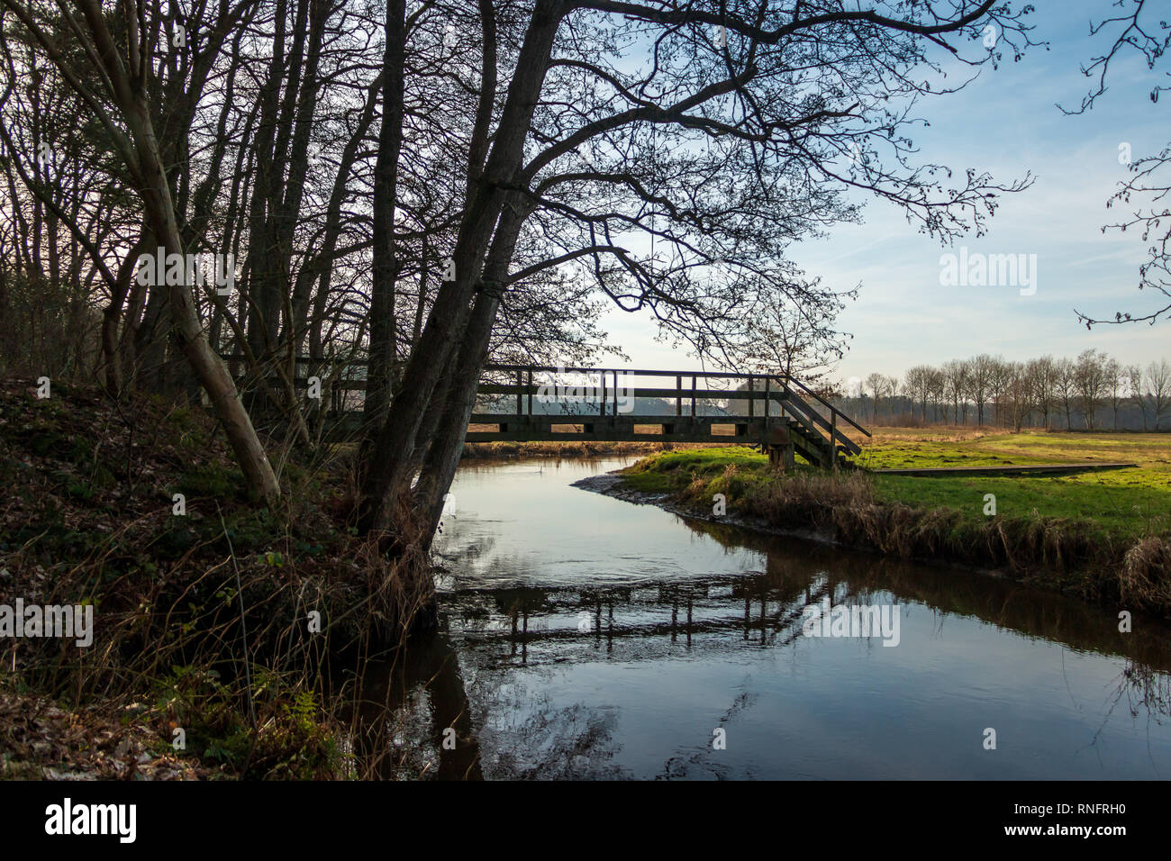 Nature reserve the "Drentse AA" in the Netherlands province Drenthe ...