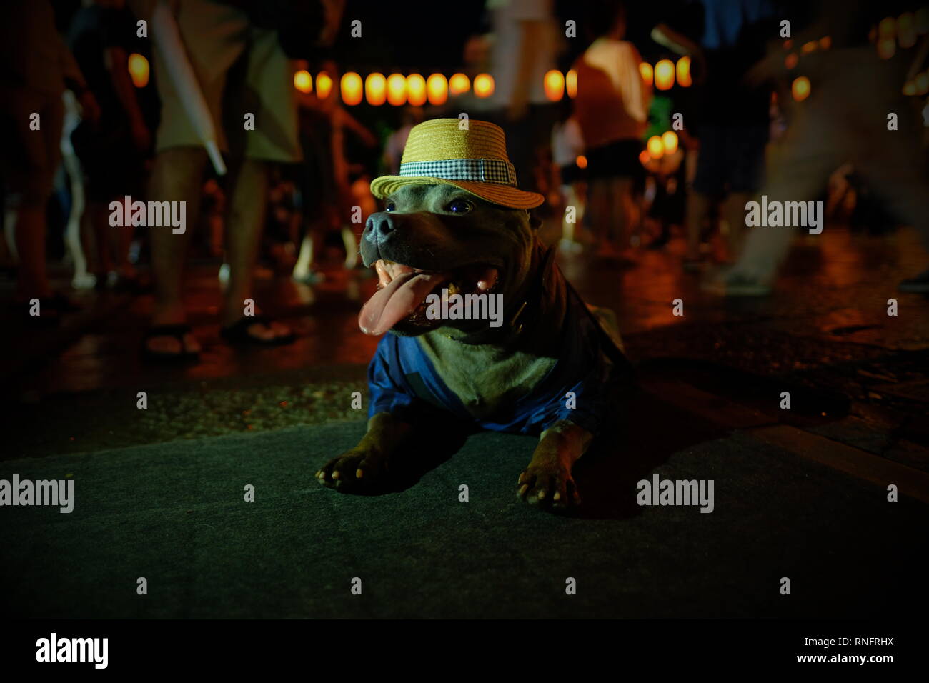 Japanese photography hi-res stock photography and images - Alamy