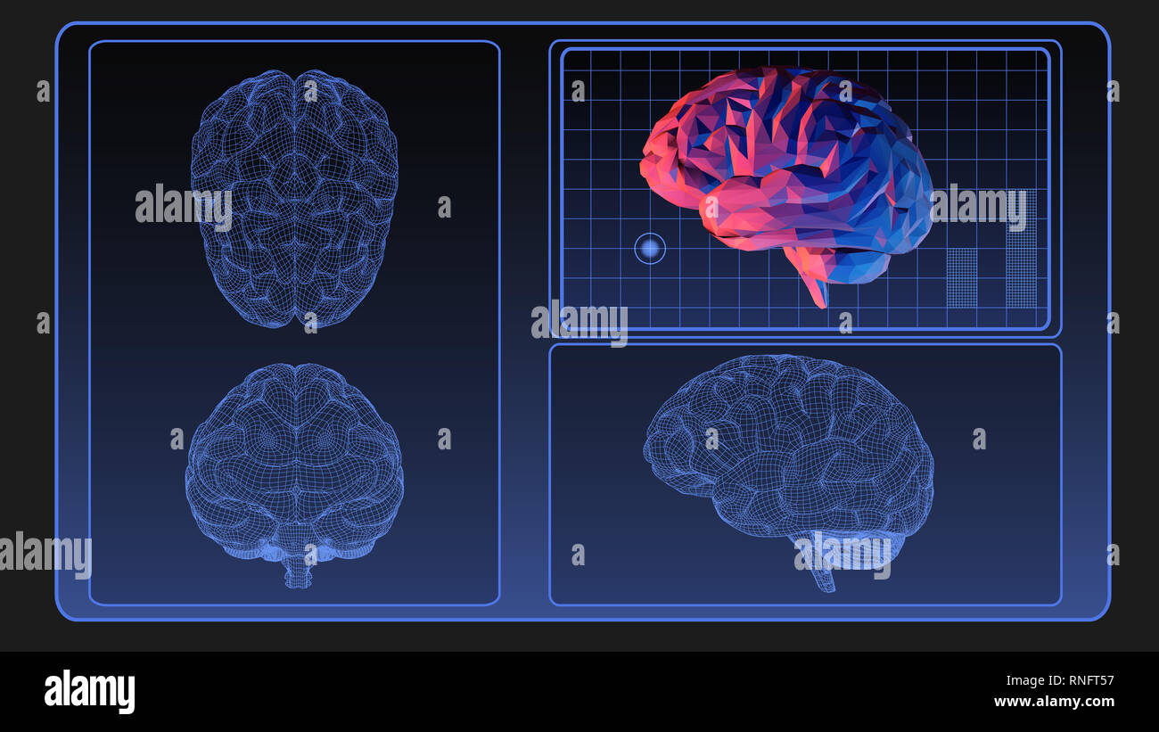 Human brain anatomical model motion hi-res stock photography and images ...