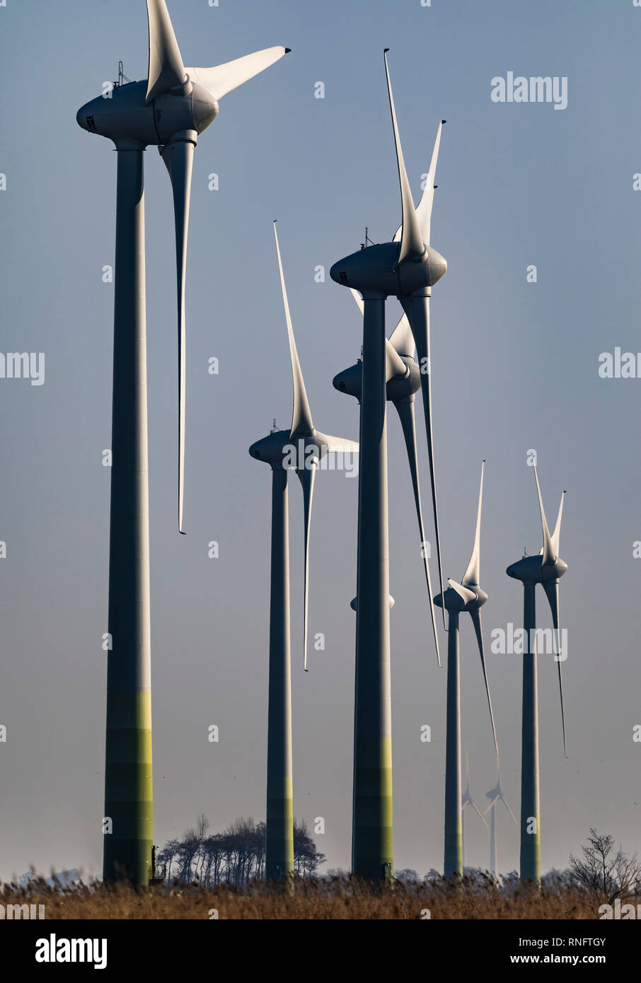 Wind farm, wind park, wind power plant, in the district of Wittmund ...