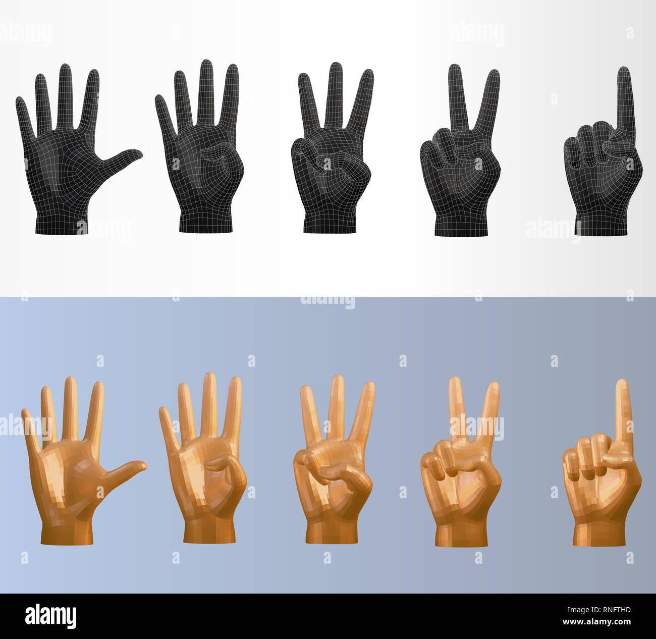 Right Hand Reference