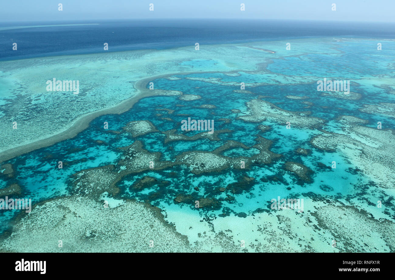 The Southern Great Barrier Reef, the Gladstone Region is home to what’s ...