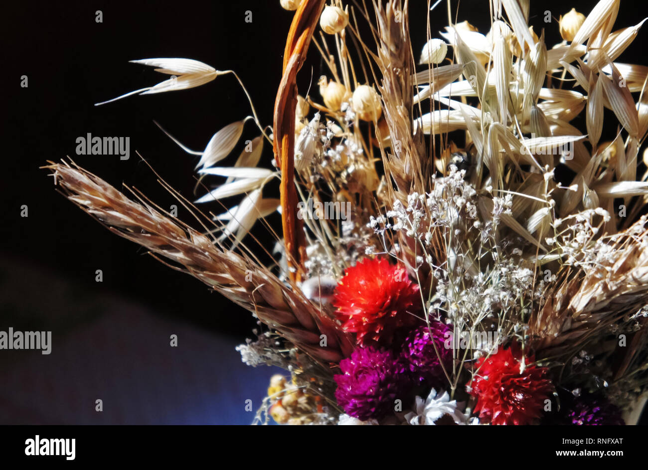 bouquet of dried flowers. dry flowers. spring flower bouquet ...