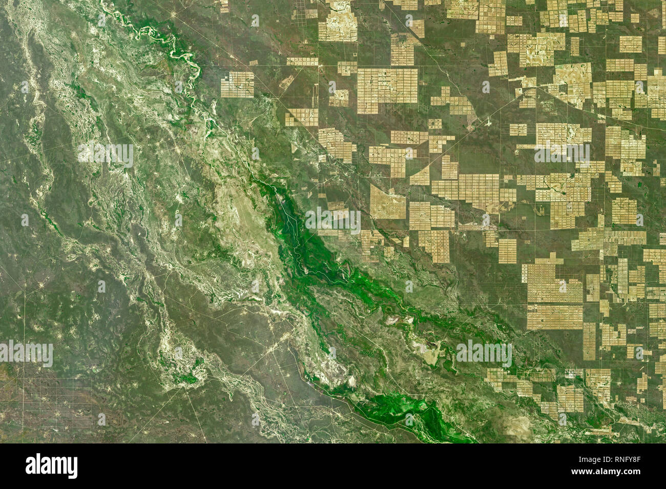 Gran chaco hi-res stock photography and images - Alamy