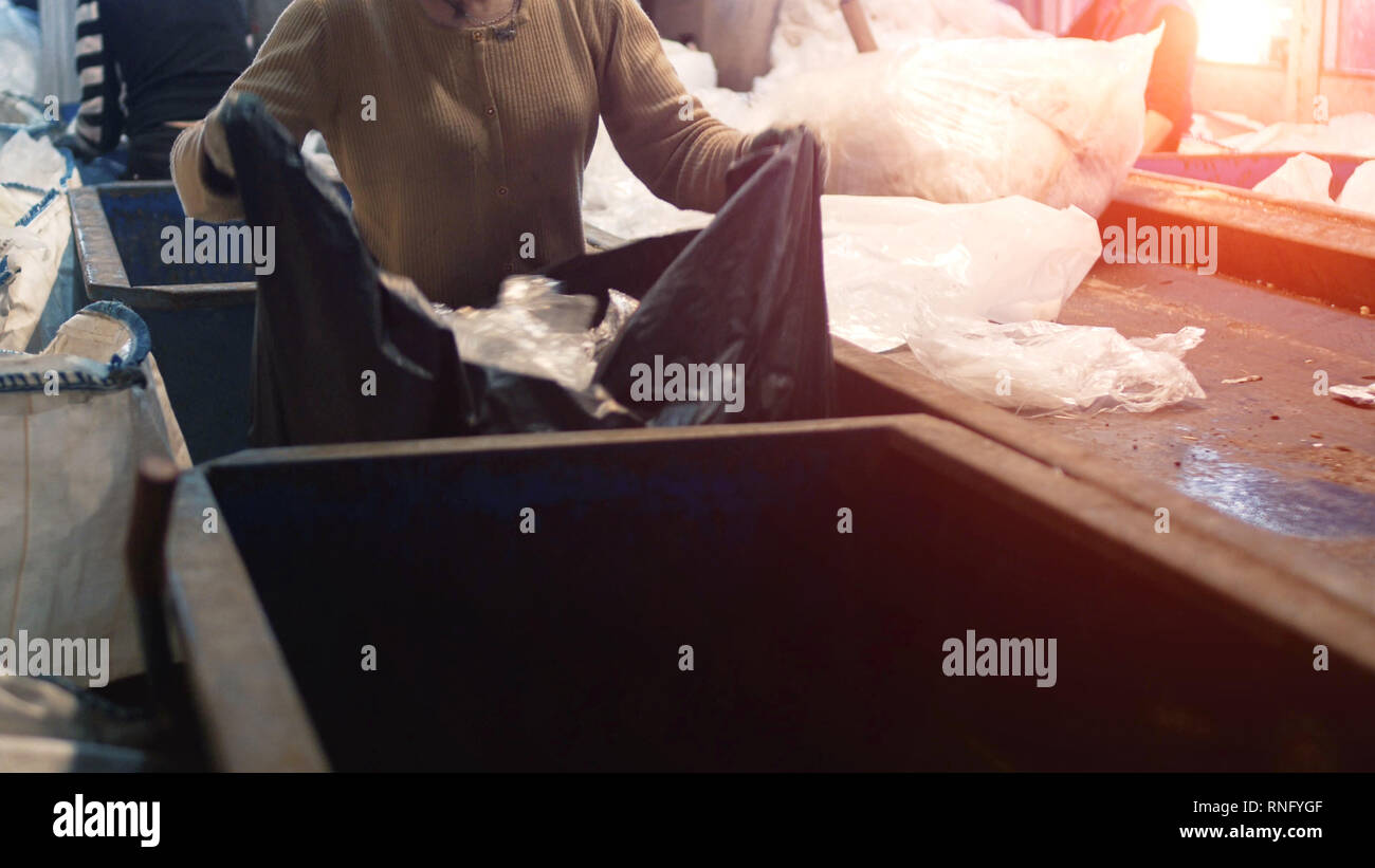 sorting and recycling of garbage, cellophane, workers sort garbage in a ...