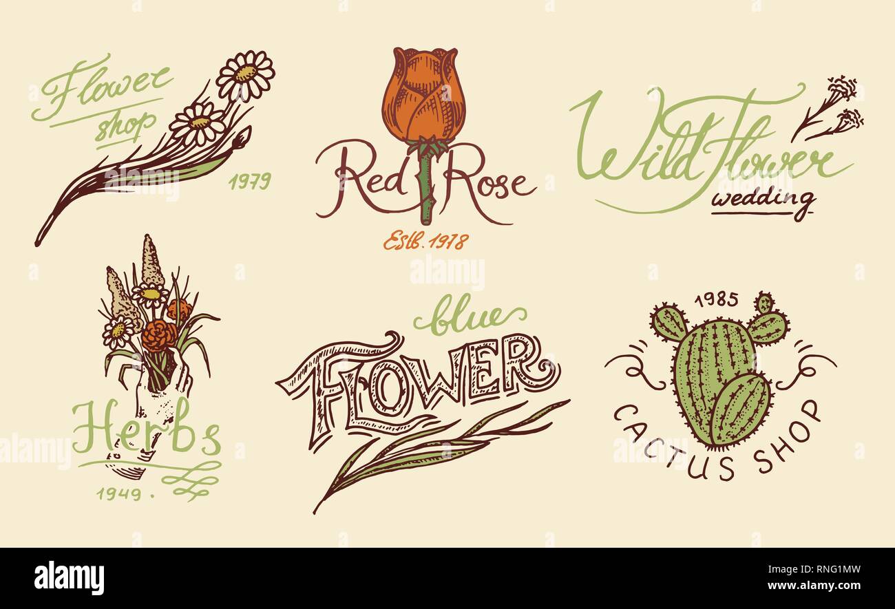 Flower shop emblems and Bright logo. Vintage bouquet. Gardening signs ...