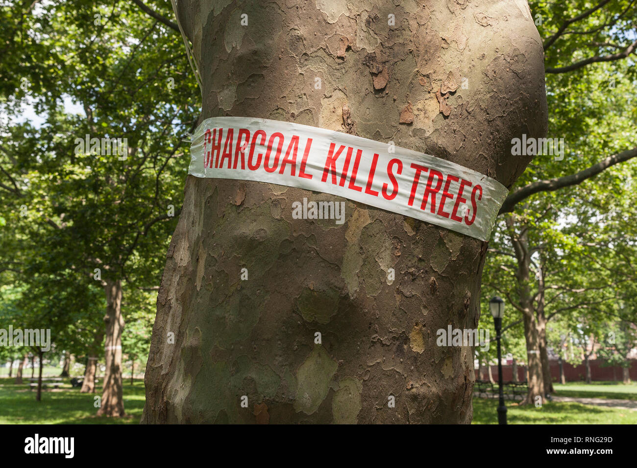 Warning sign to weekend picnickers not to dump their barbecue charcoal ...