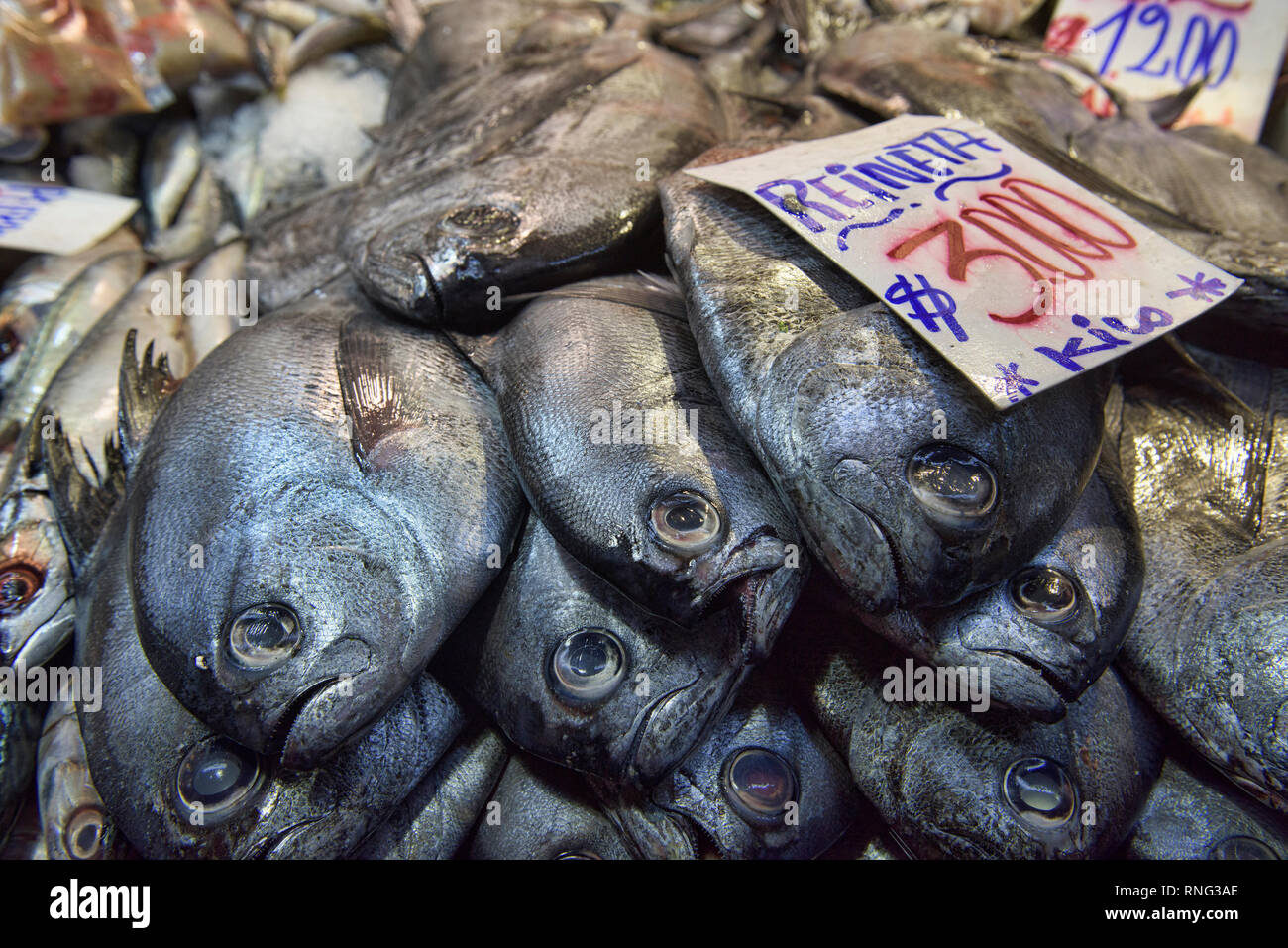 Fresh fish at the Mercado Central, Santiago, Chile Stock Photo - Alamy