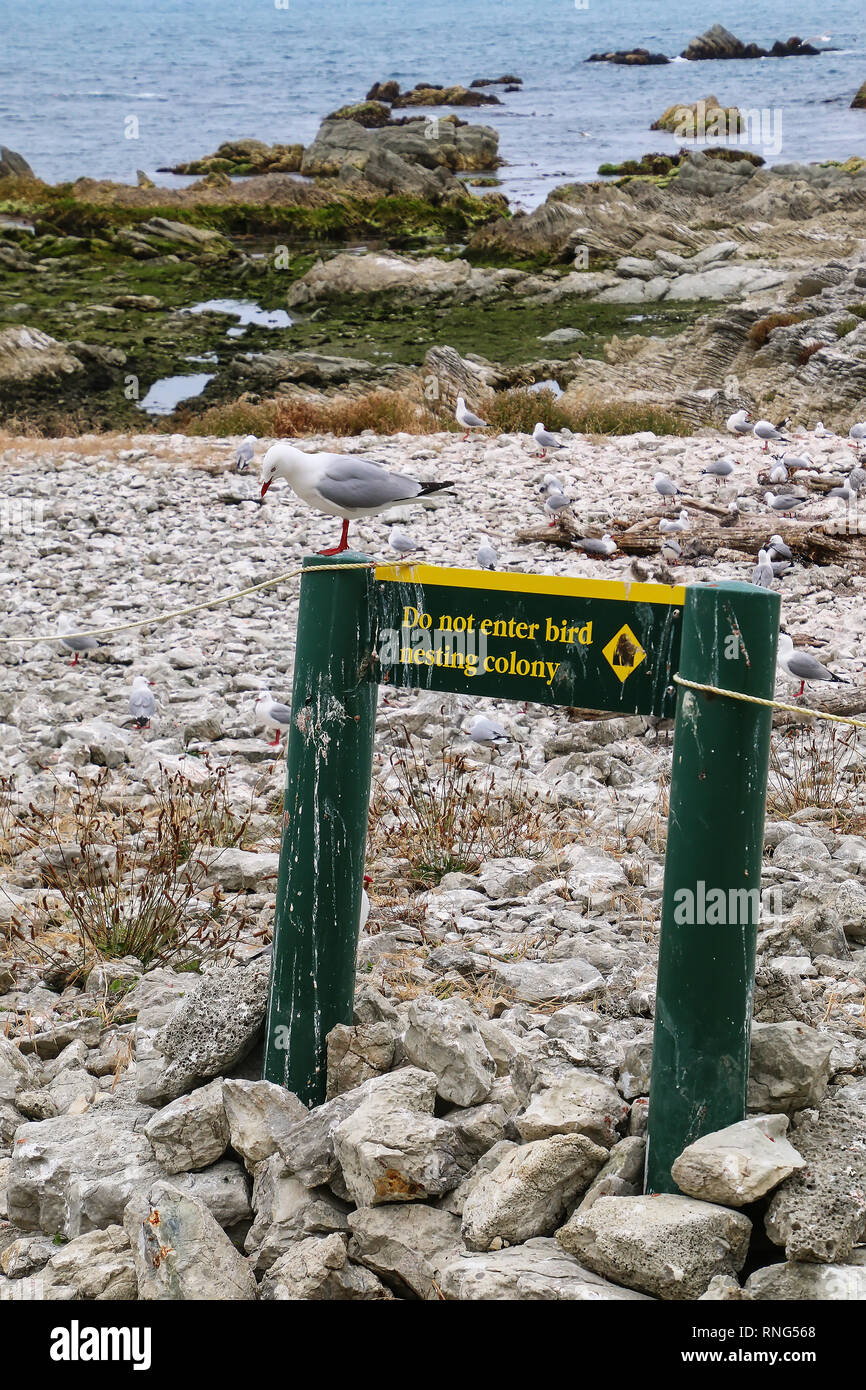 Bird nesting sign hi-res stock photography and images - Alamy
