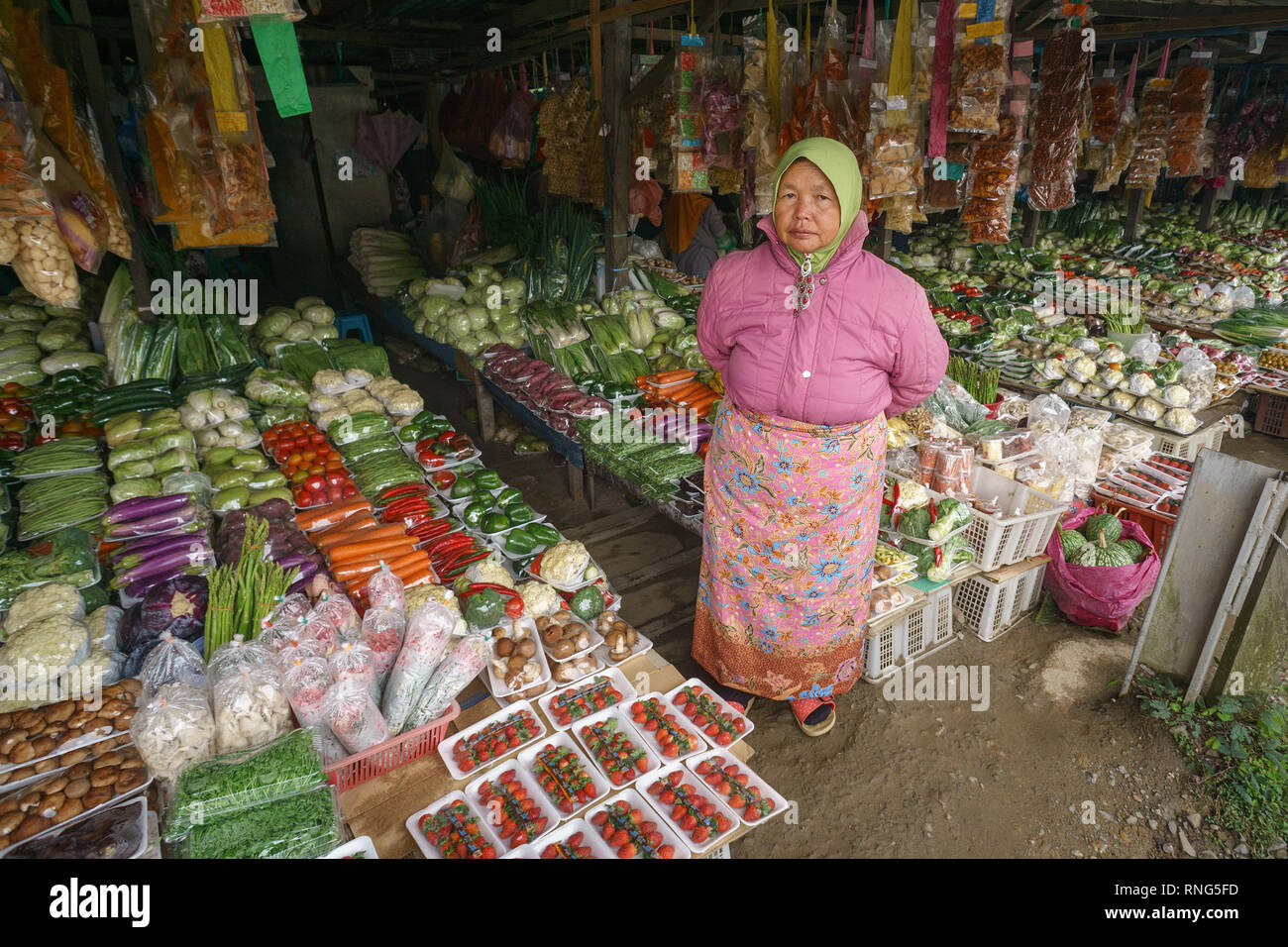 Kundasang vegetable farm hi-res stock photography and images - Alamy