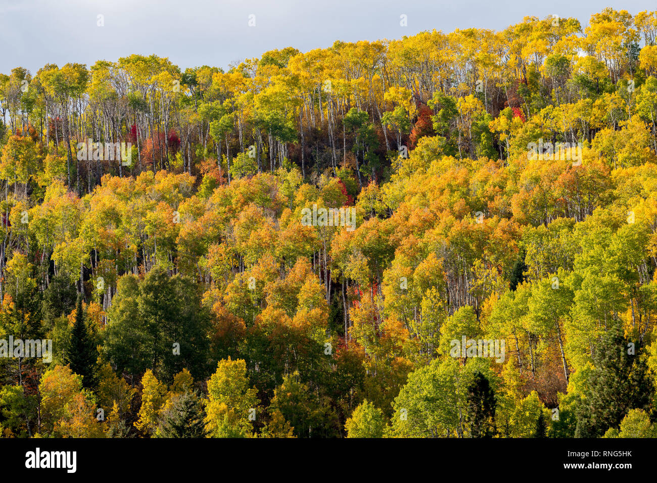 Top of a ridge hi-res stock photography and images - Alamy