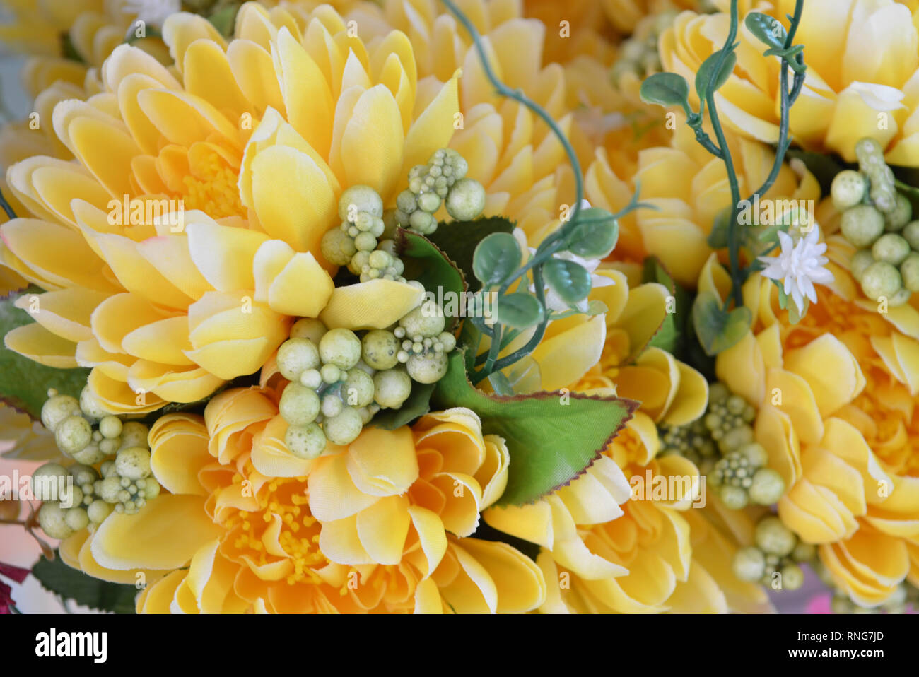 The background of the beautiful flowers in colorful Stock Photo - Alamy