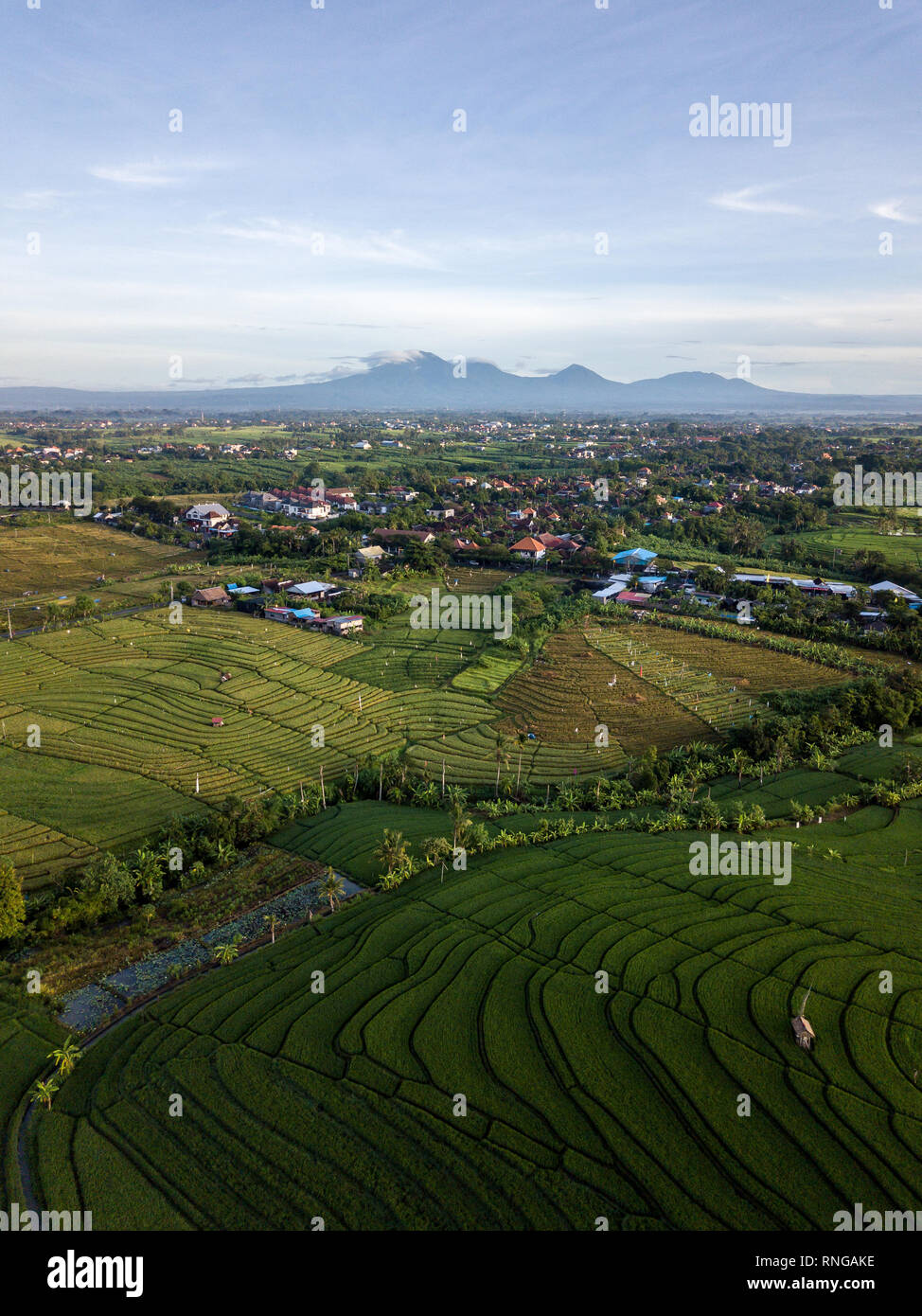 An aerial view of rural Bali with its mountain in the background ...