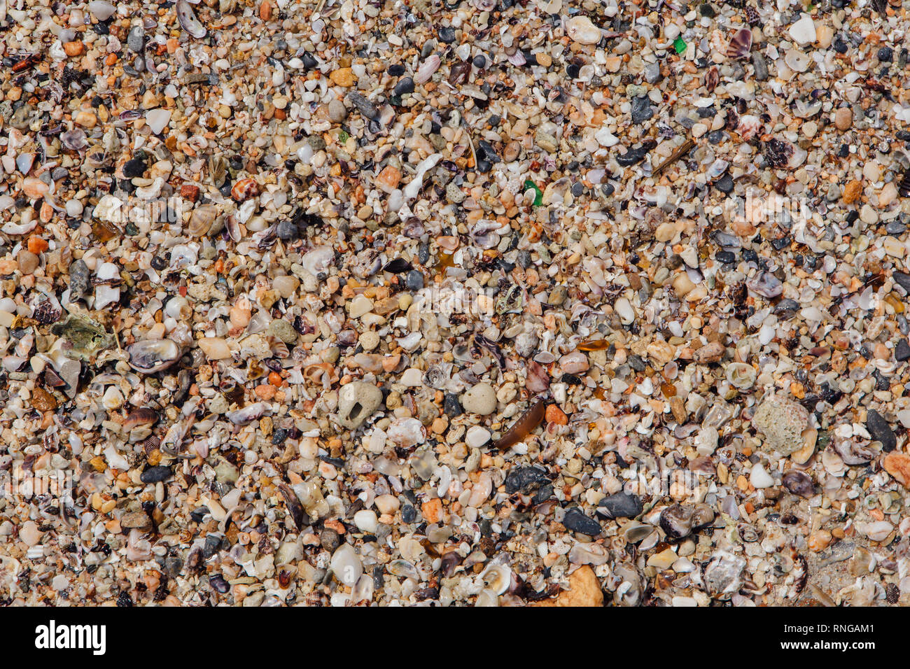 Sea sand texture made of shell and stone pieces. Seamless texture Stock ...