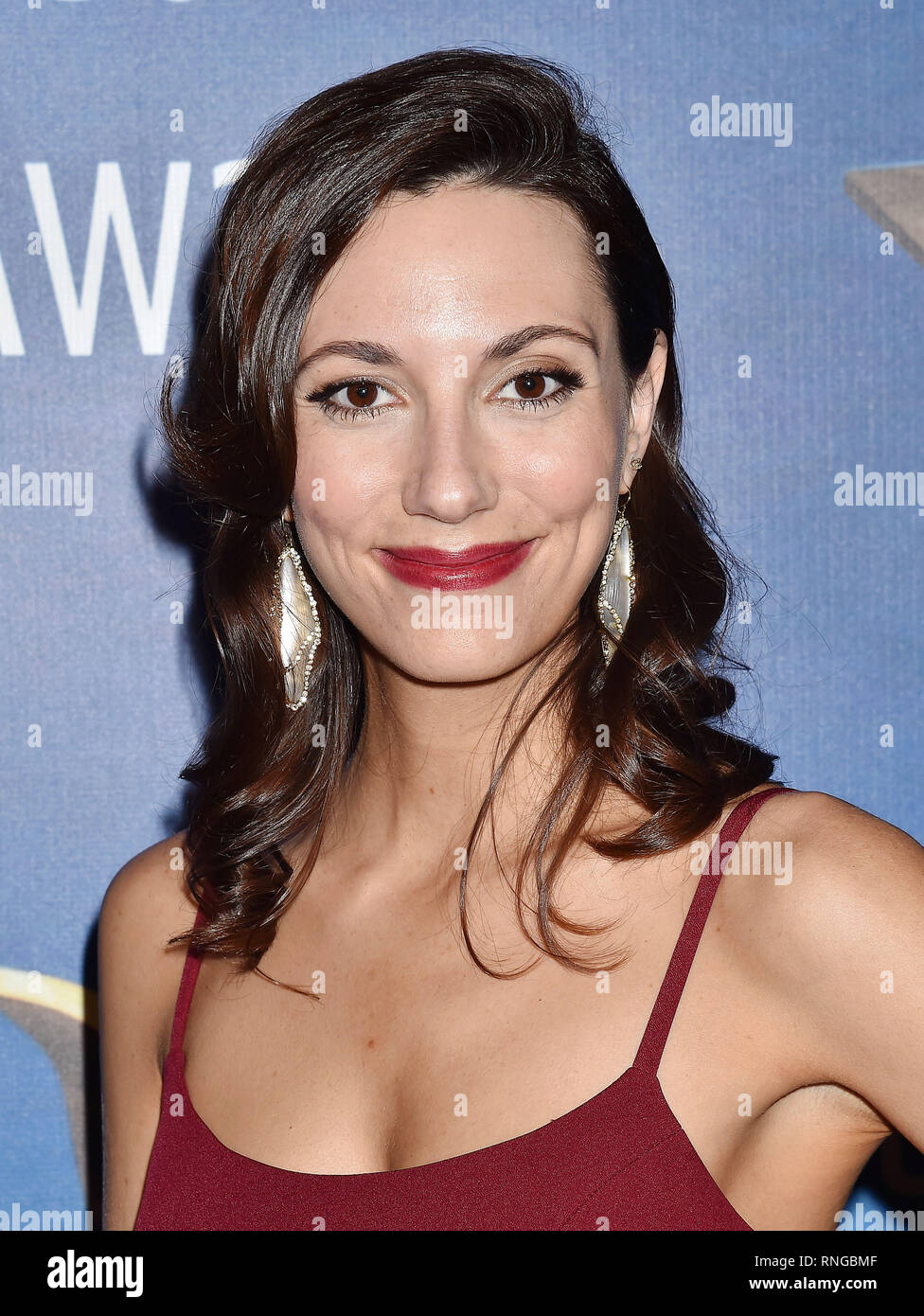 BEVERLY HILLS, CA - FEBRUARY 17: Alexis Jacknow attends the 2019 Writers Guild Awards L.A ...