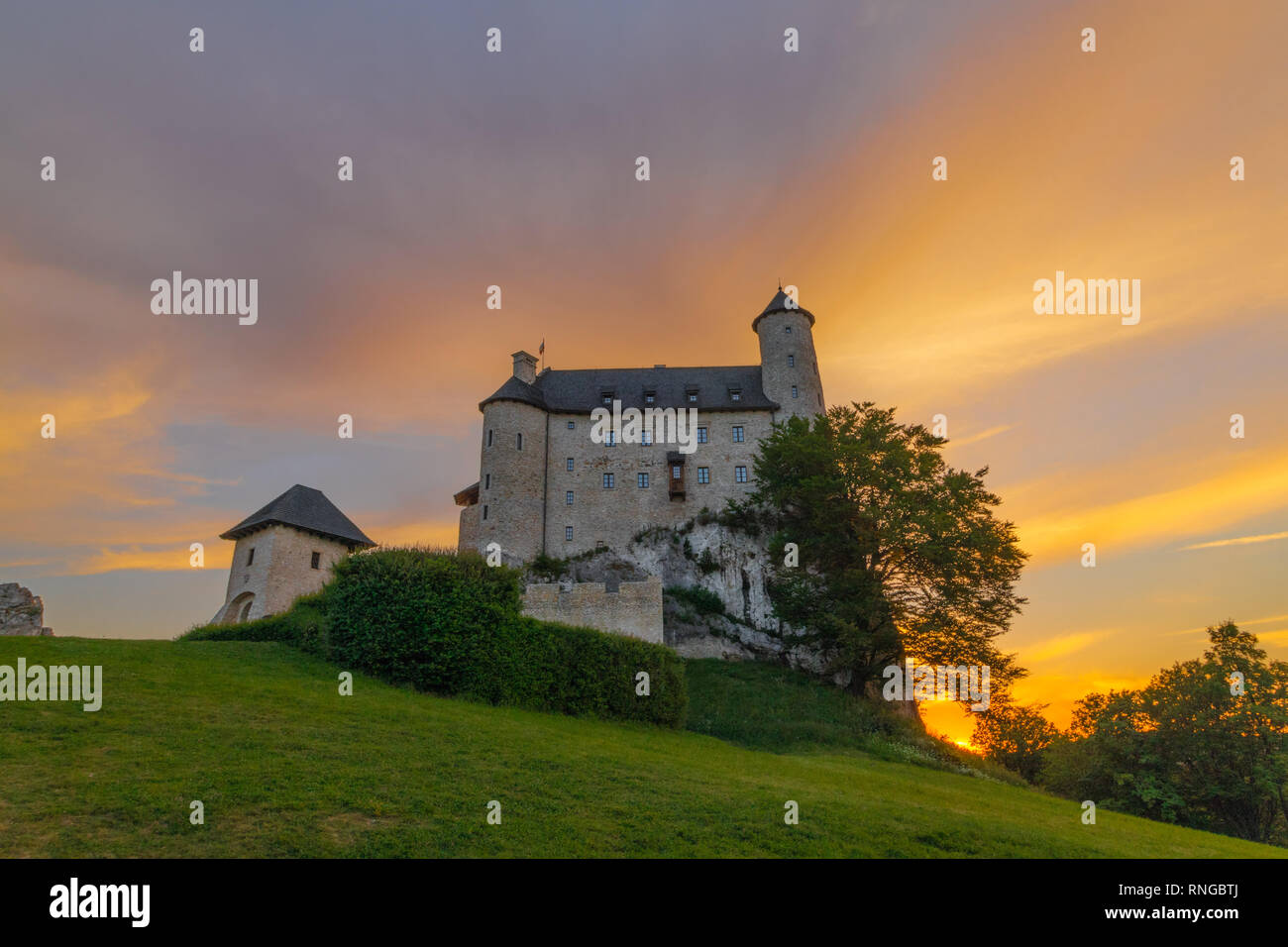 Picturesque medieval castle on the green hill at sunset Stock Photo - Alamy