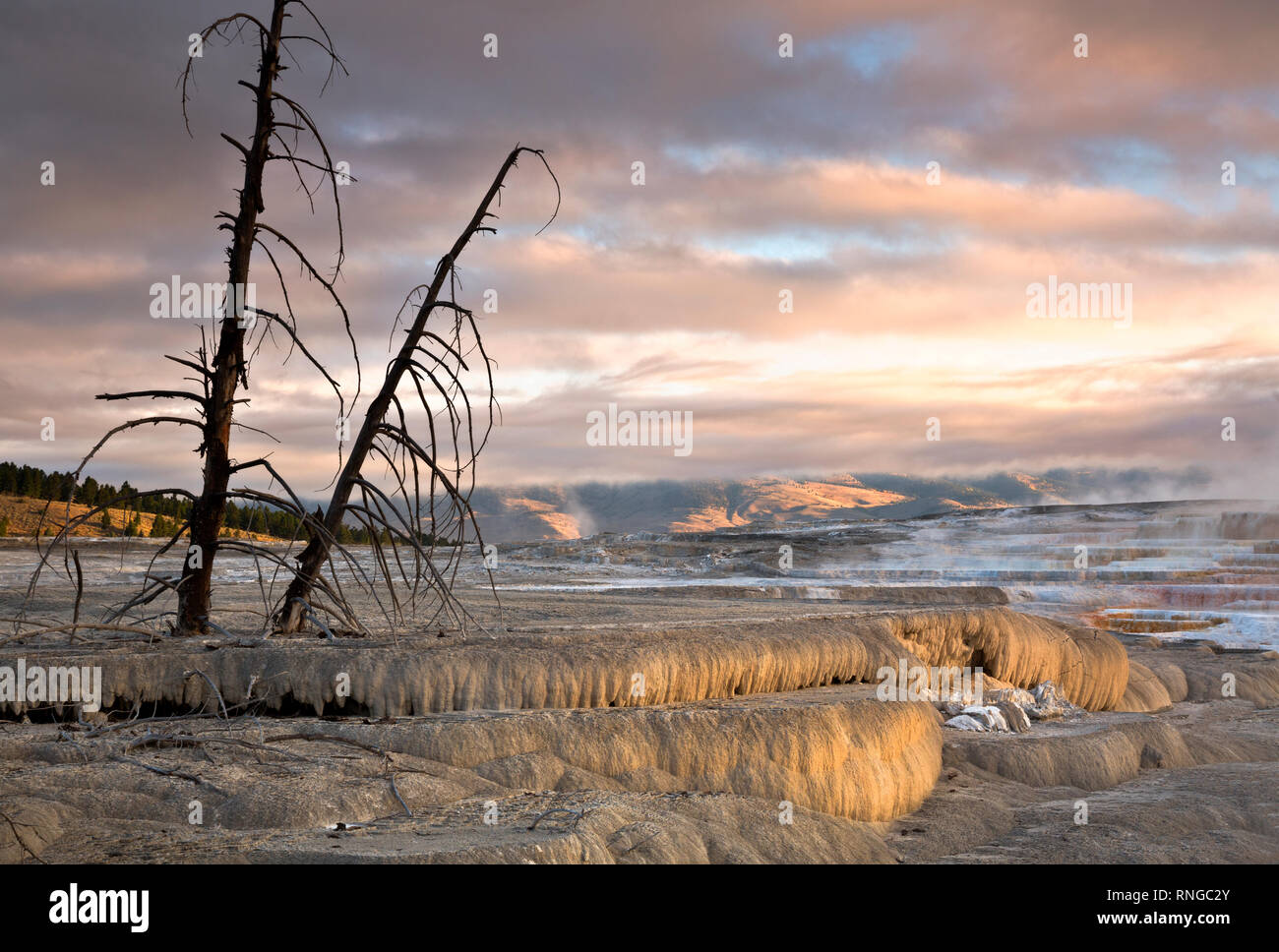 Yellowstone geothermal area hi-res stock photography and images - Alamy