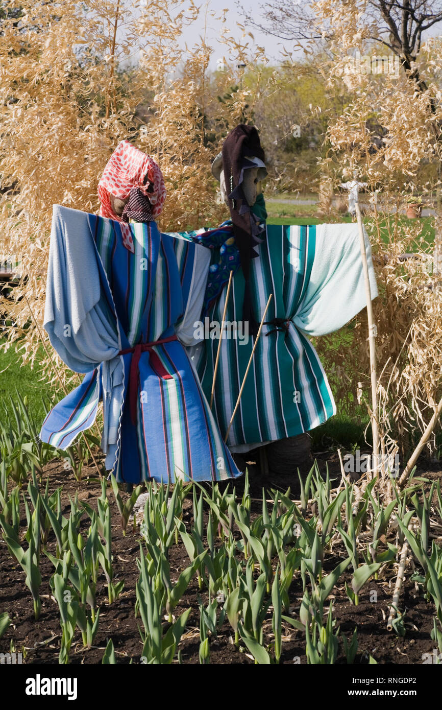 Two scarecrows hi-res stock photography and images - Alamy