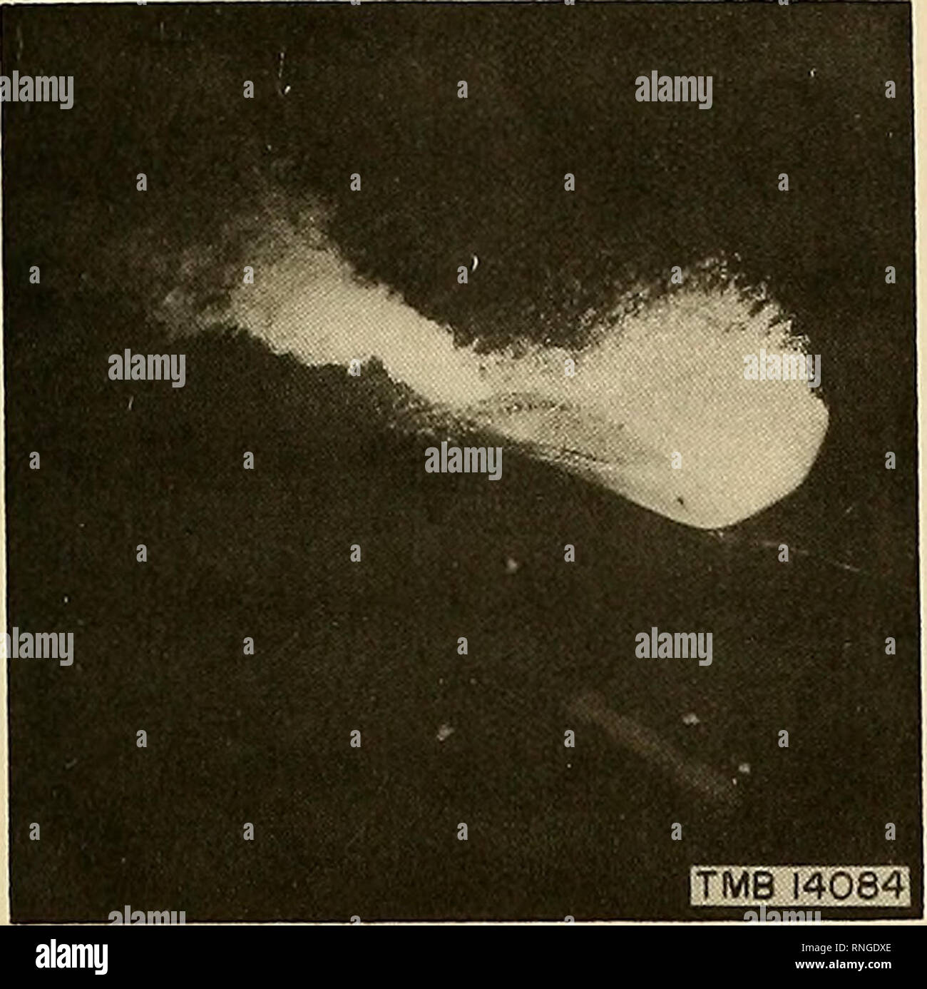 David taylor model basin hi-res stock photography and images - Alamy