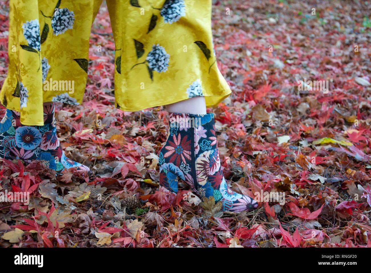 Close up of a floral embroidered ankle boot on a lady's foot, with ...
