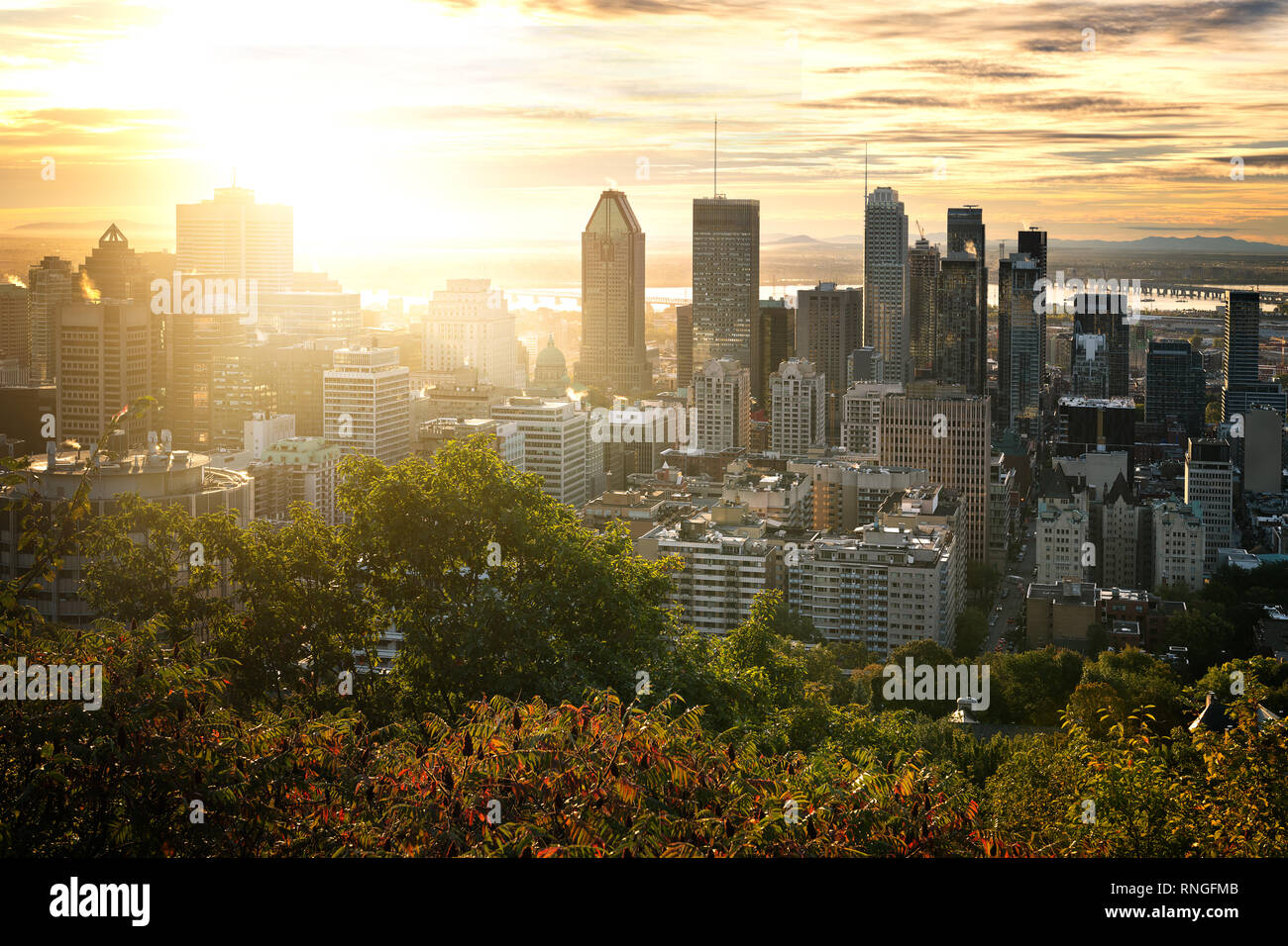Mont royal hill hi-res stock photography and images - Alamy