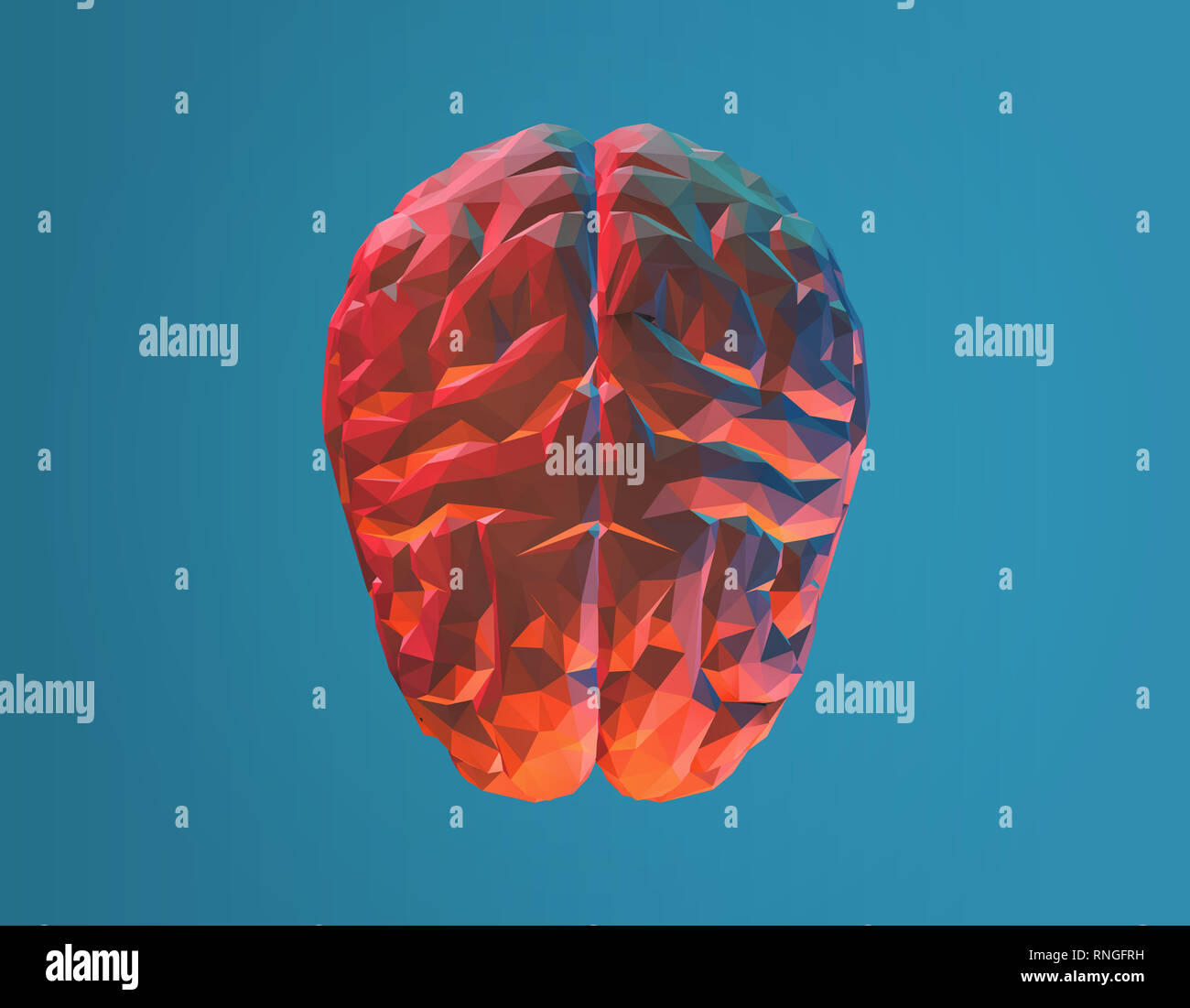 Human brain view from top hi-res stock photography and images - Alamy