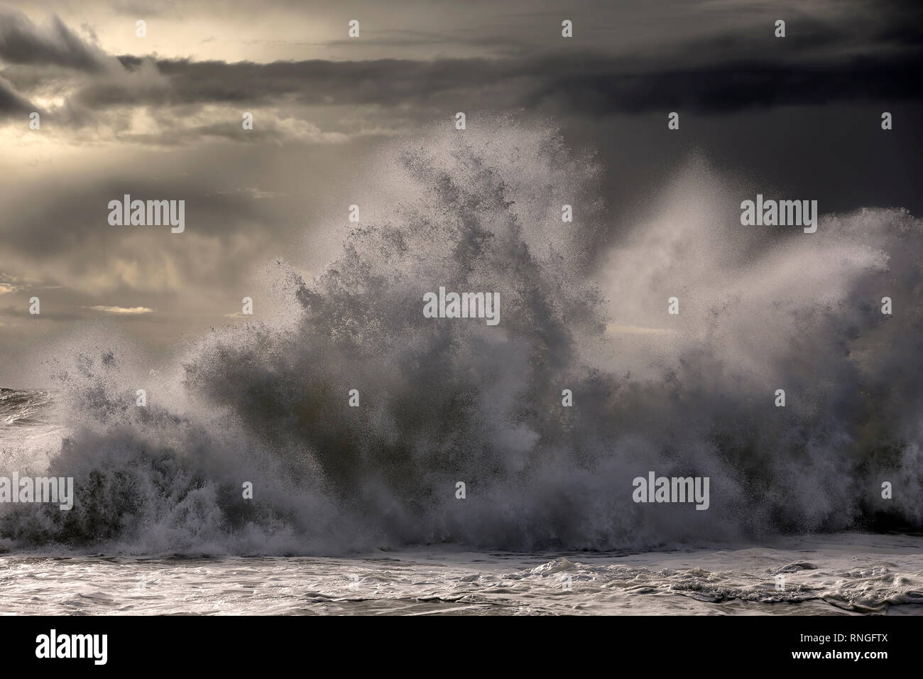 Big sea wave splash. End of the day light before storm and rain. Beach ...