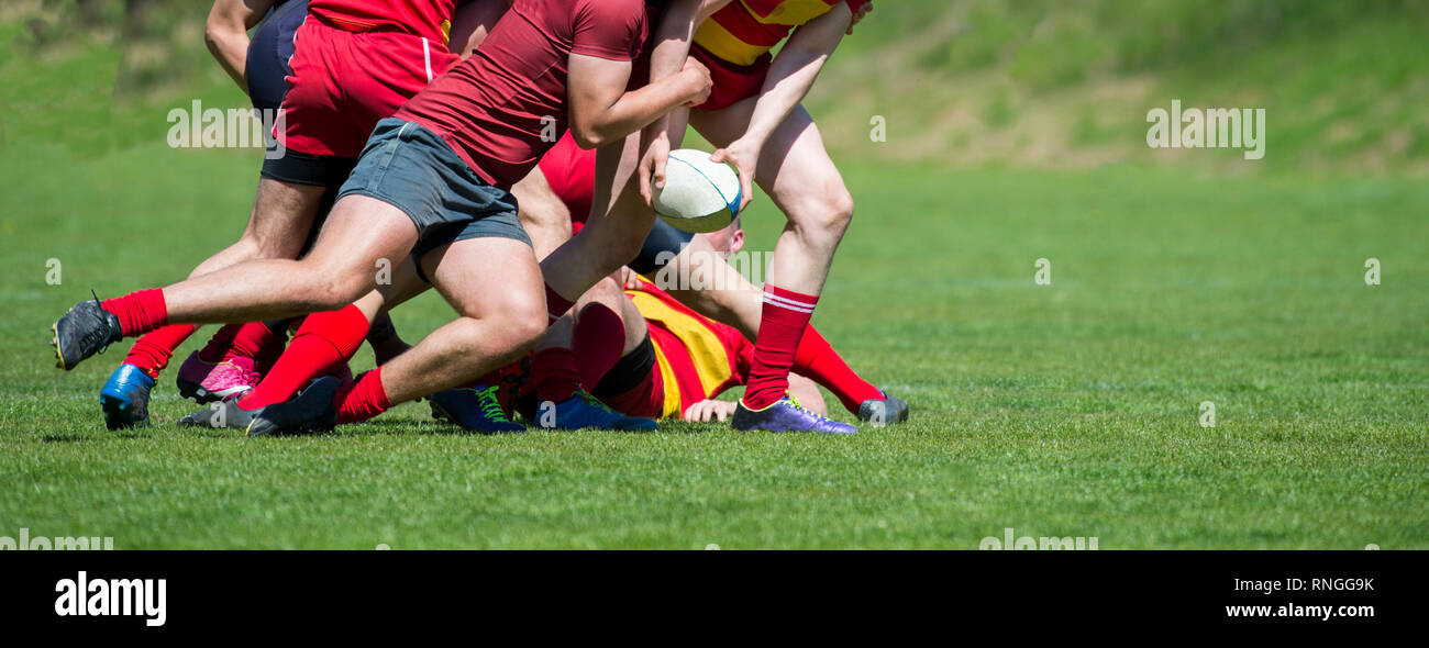Professional rugby hi-res stock photography and images - Alamy