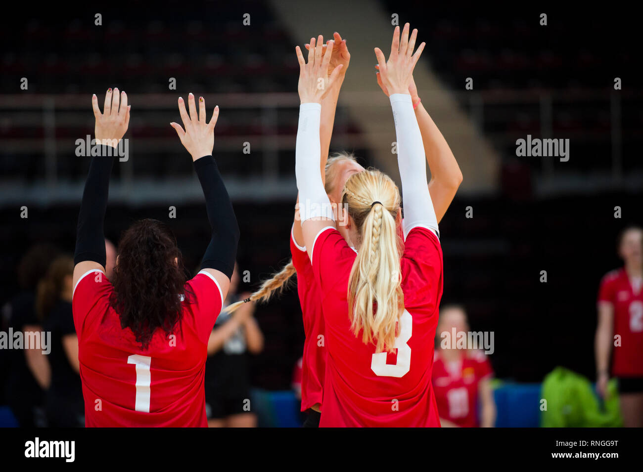 Volleyball players celebrating victory Stock Photo - Alamy