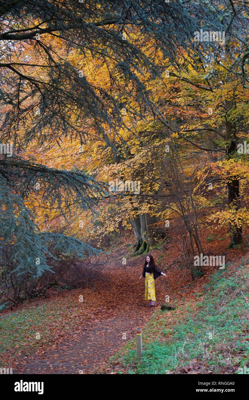 Brunette woman long legs wearing hi-res stock photography and images ...