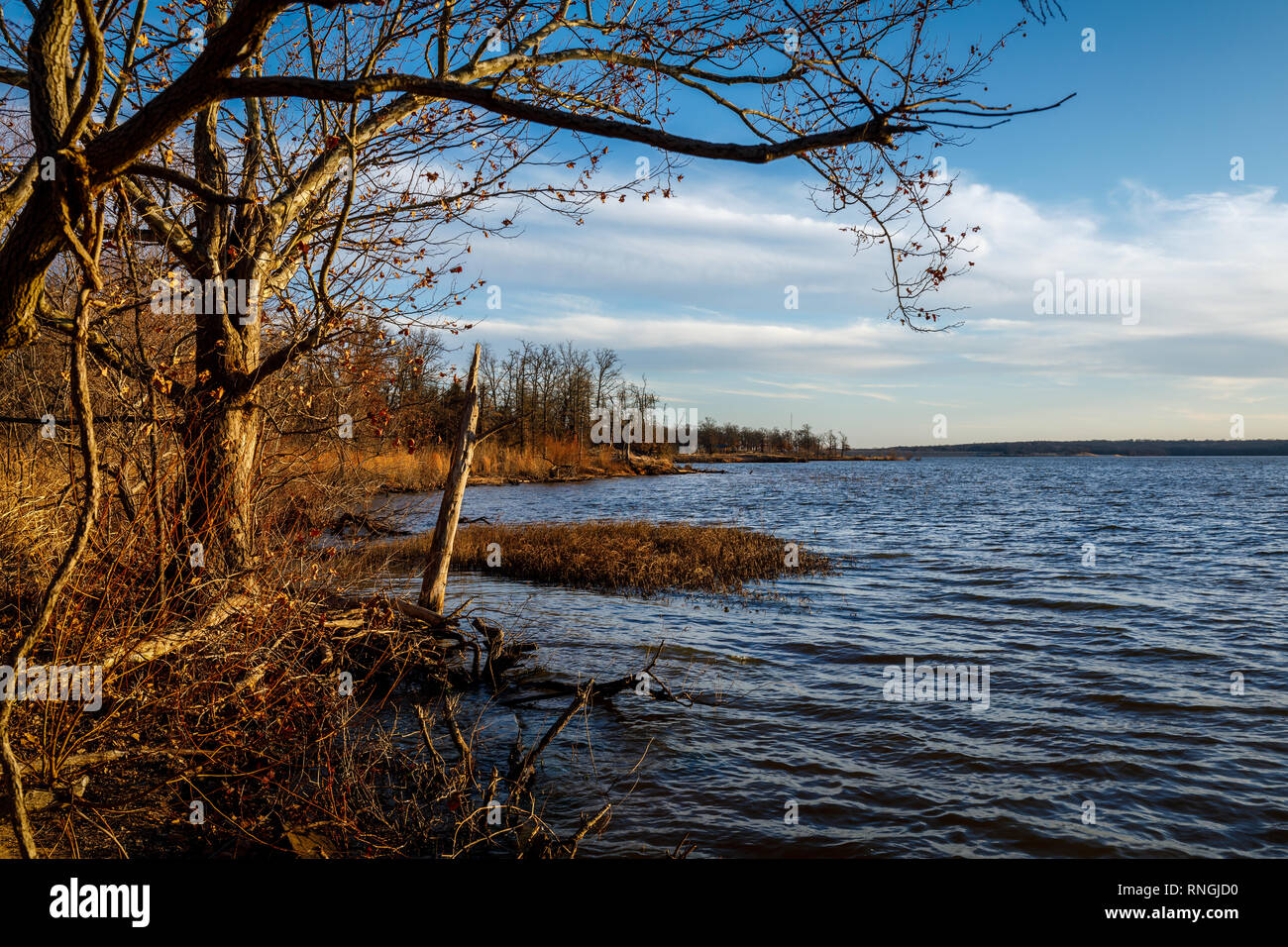 Wooded tree line hi-res stock photography and images - Alamy