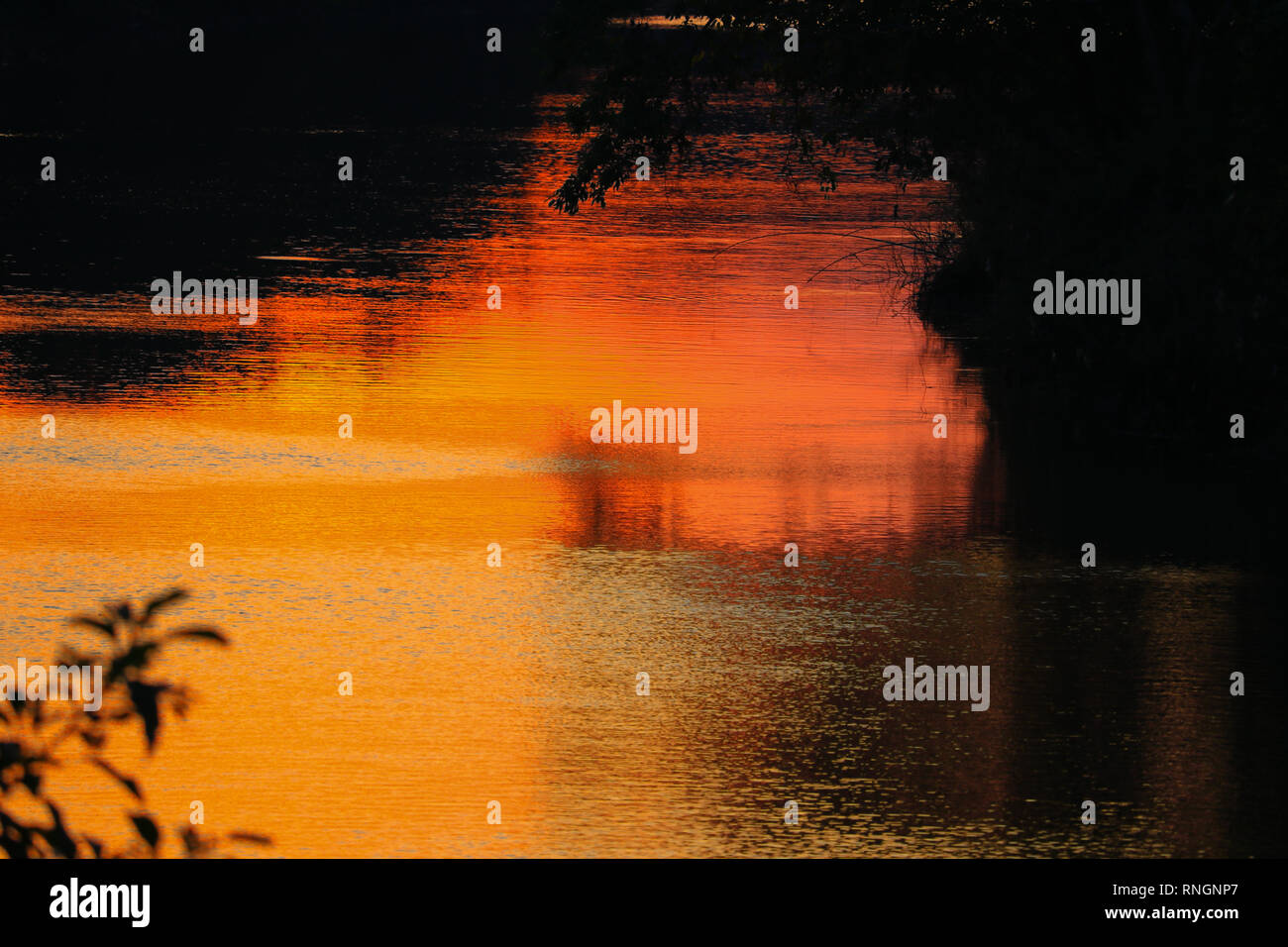 reflection river and shadow tree in water beautiful sunset nature Stock ...