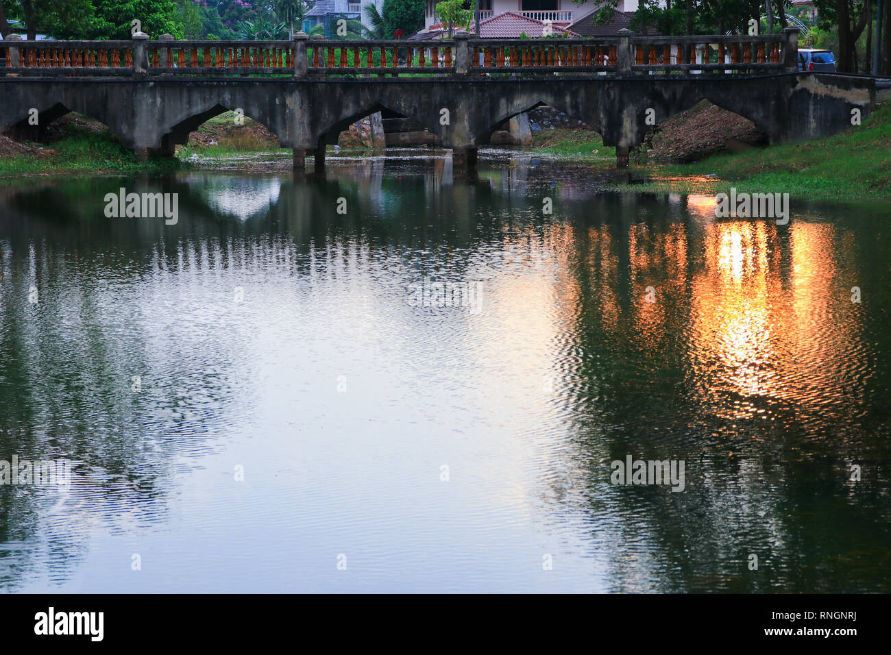 reflection river and shadow tree in water beautiful sunset nature Stock ...