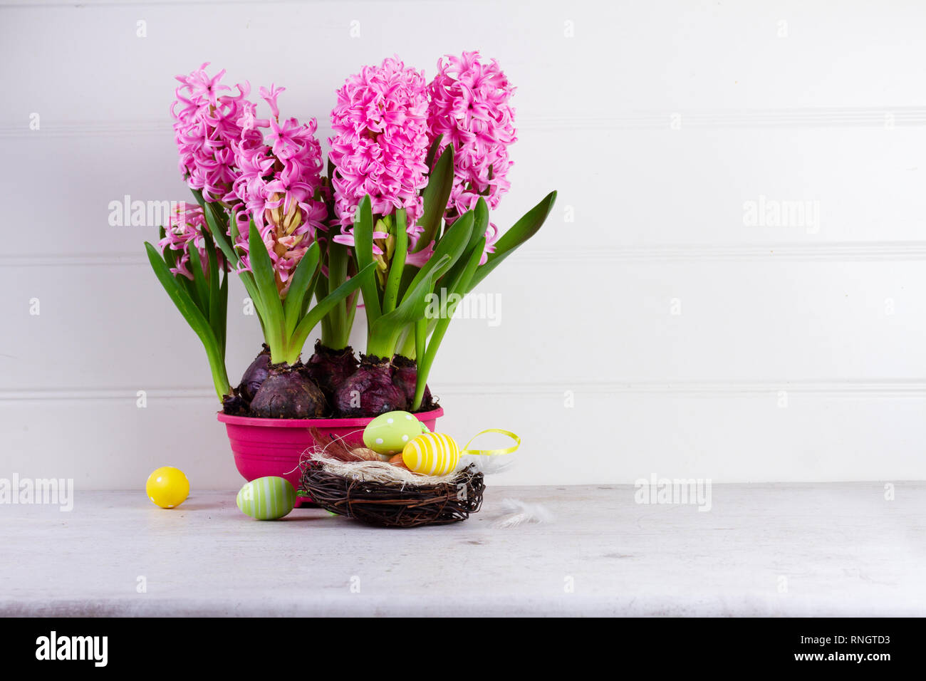 Easter scene with spring flowers and nest of easter eggs Stock Photo ...