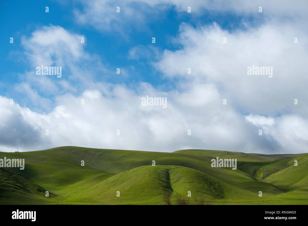 abstract rolling green hills of central california Stock Photo - Alamy