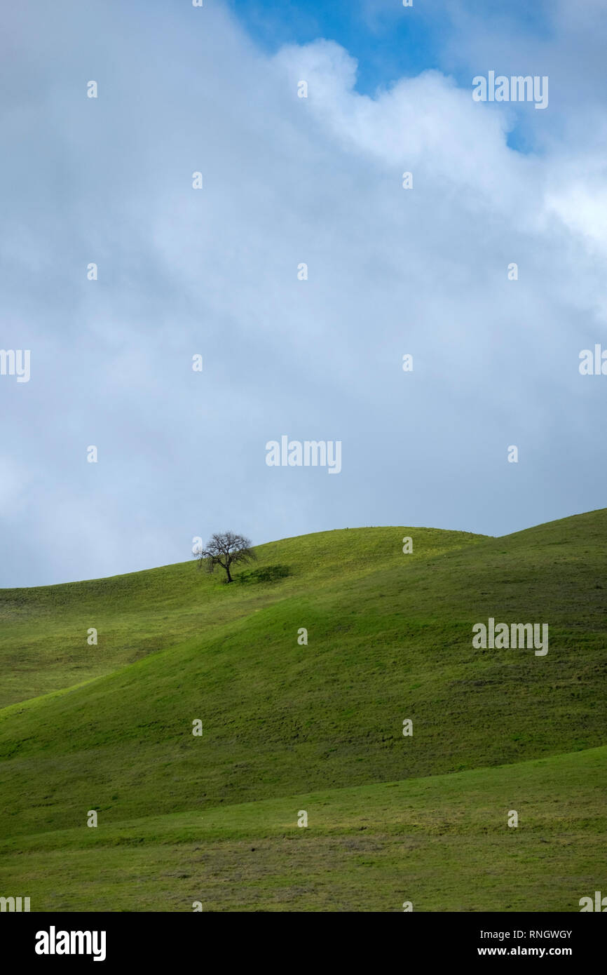 Rolling hills in spring hi-res stock photography and images - Alamy