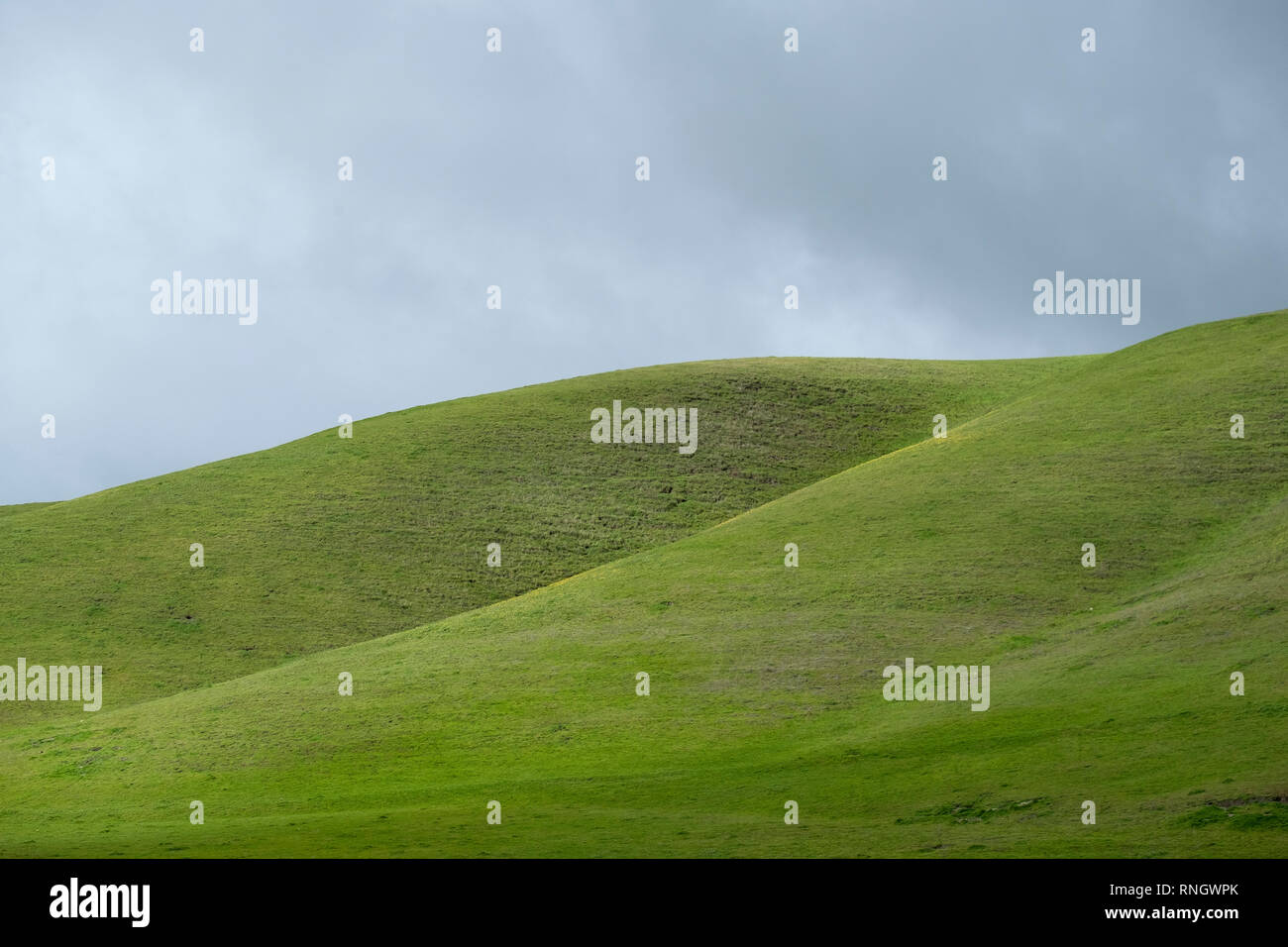 abstract rolling green hills of central california Stock Photo - Alamy