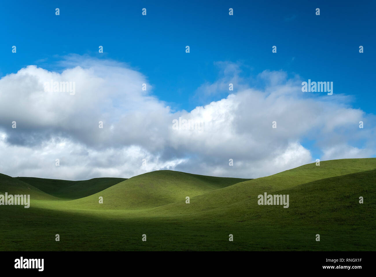 abstract rolling hills pasture land Stock Photo - Alamy