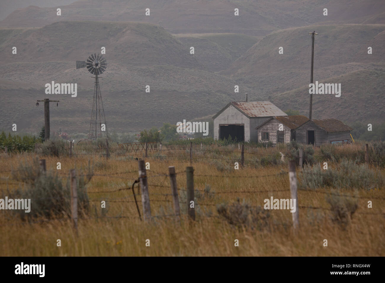 Wheatland alberta hi-res stock photography and images - Alamy