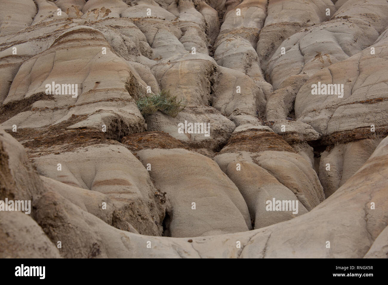 Starland County High Resolution Stock Photography and Images - Alamy