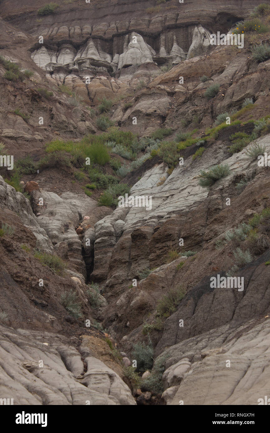 Starland County High Resolution Stock Photography and Images - Alamy