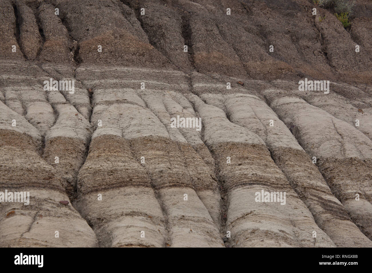 Starland County High Resolution Stock Photography and Images - Alamy