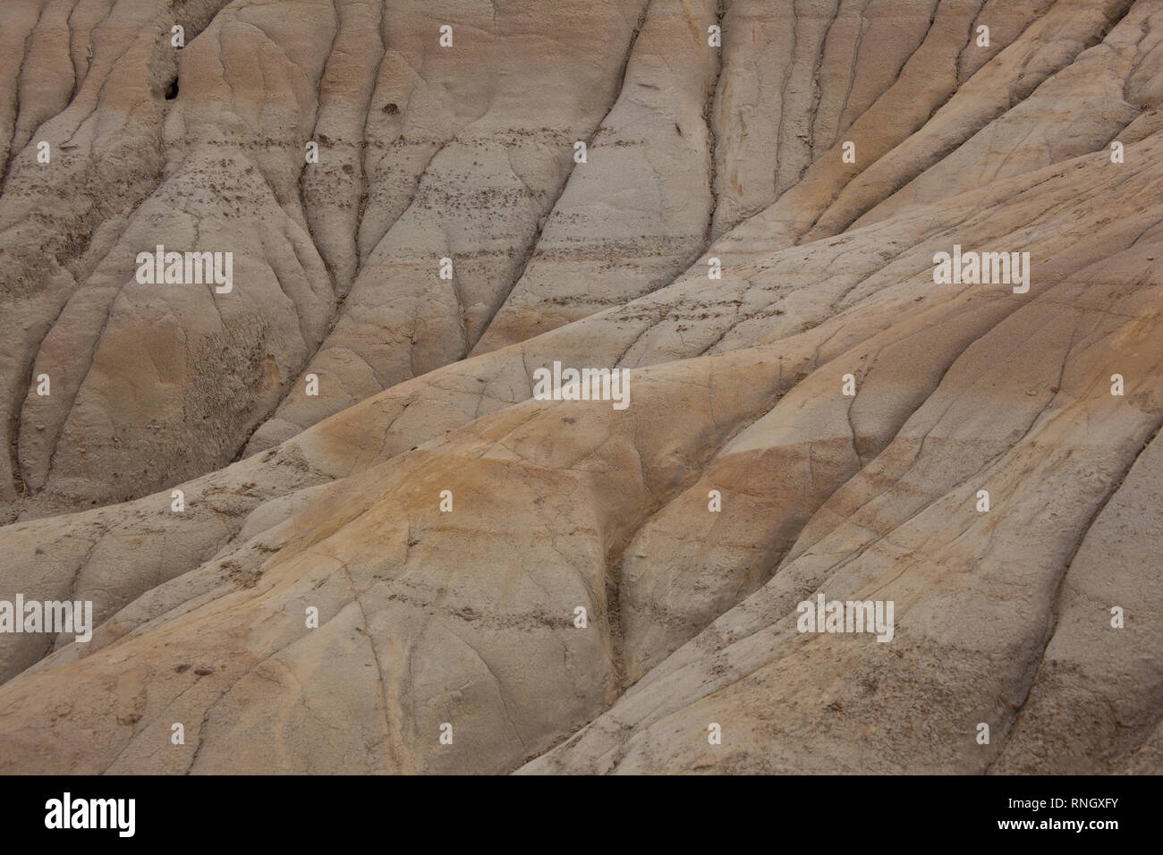 Starland County High Resolution Stock Photography and Images - Alamy