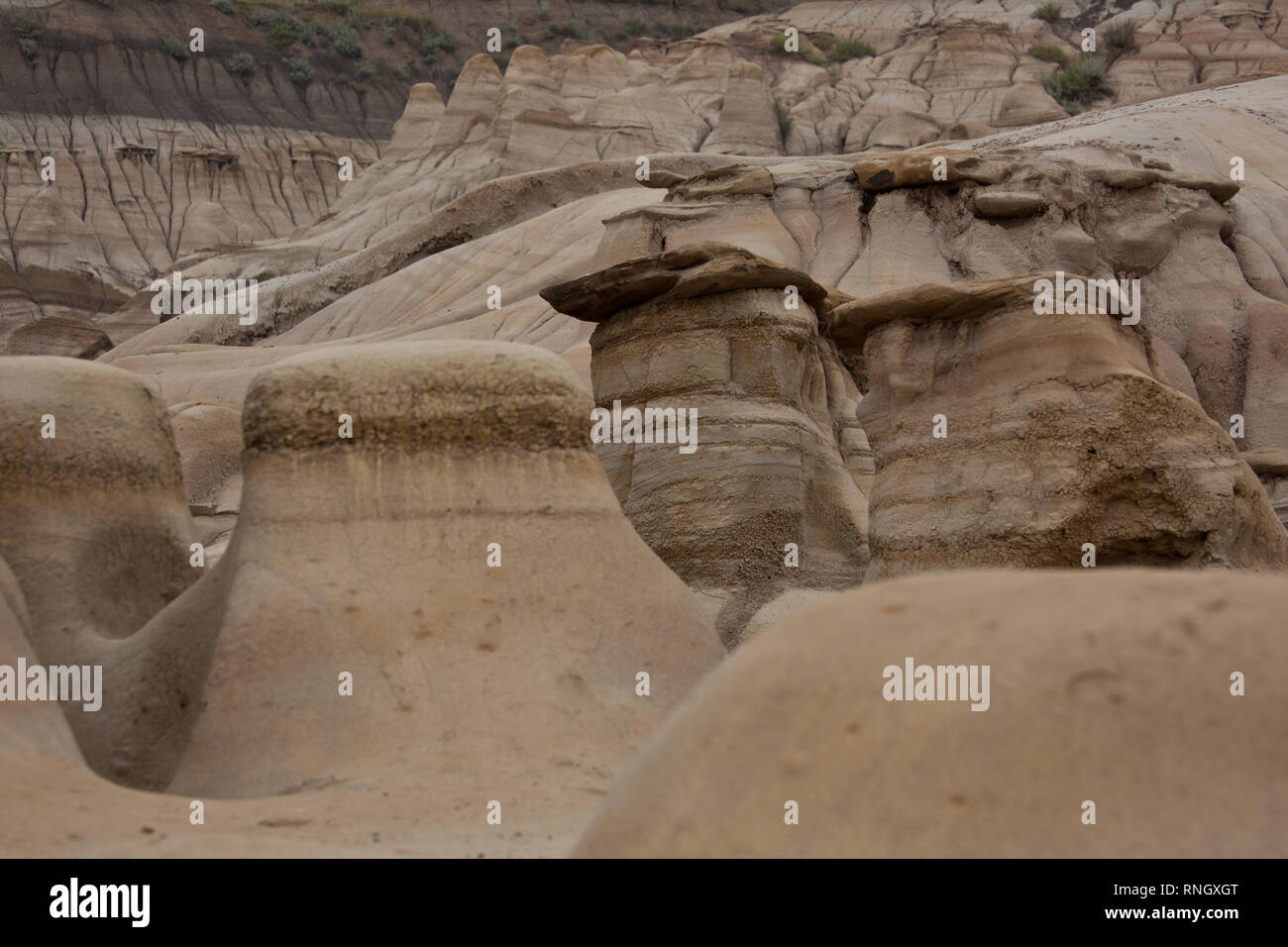 Starland County High Resolution Stock Photography and Images - Alamy