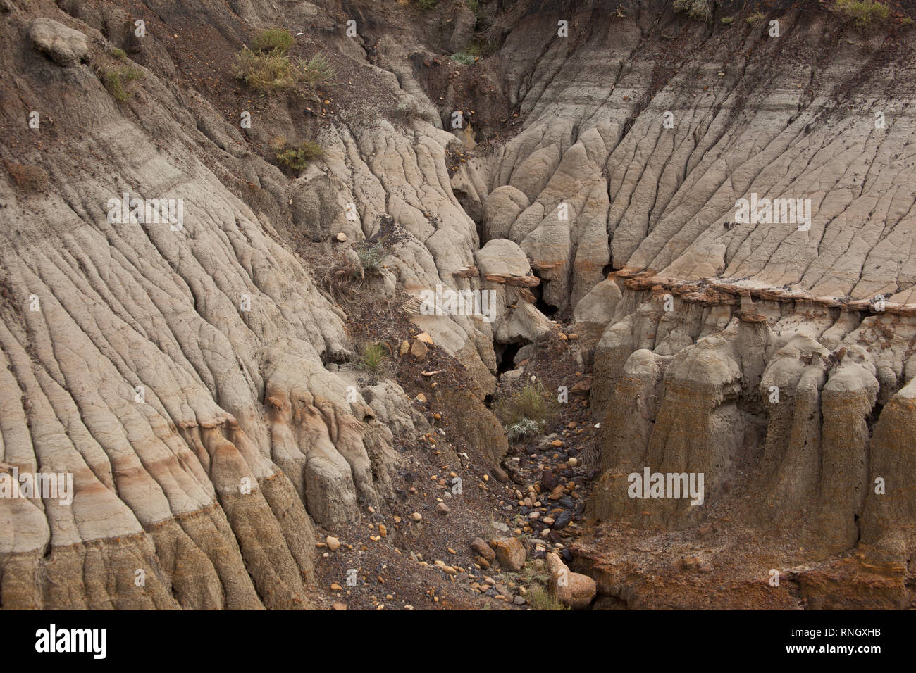 Starland hi-res stock photography and images - Alamy
