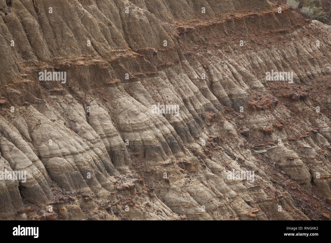 Drumheller, Starland County, Alberta, Canada Stock Photo - Alamy